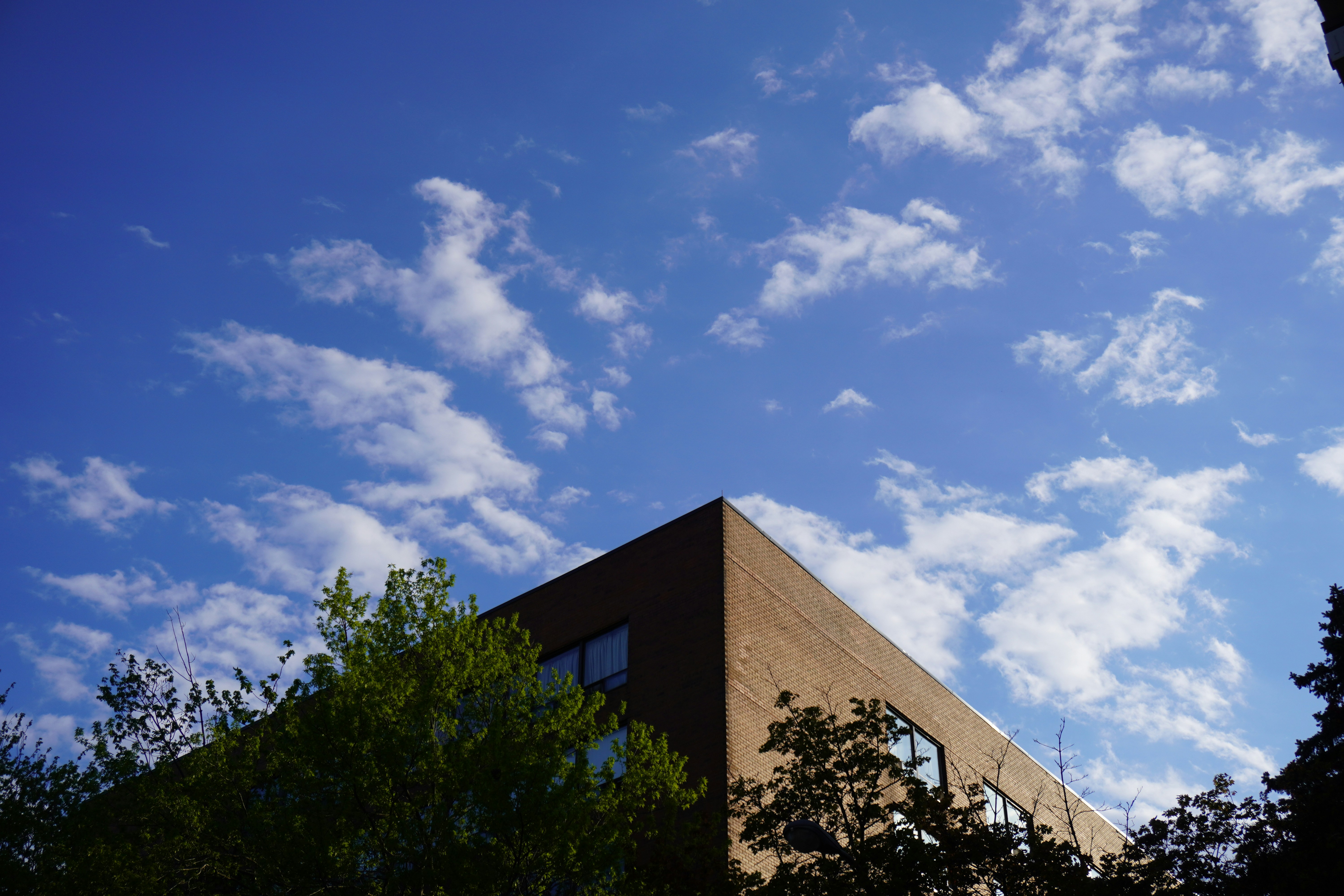 Photo by Mel Tiago with Sony Alpha 6400