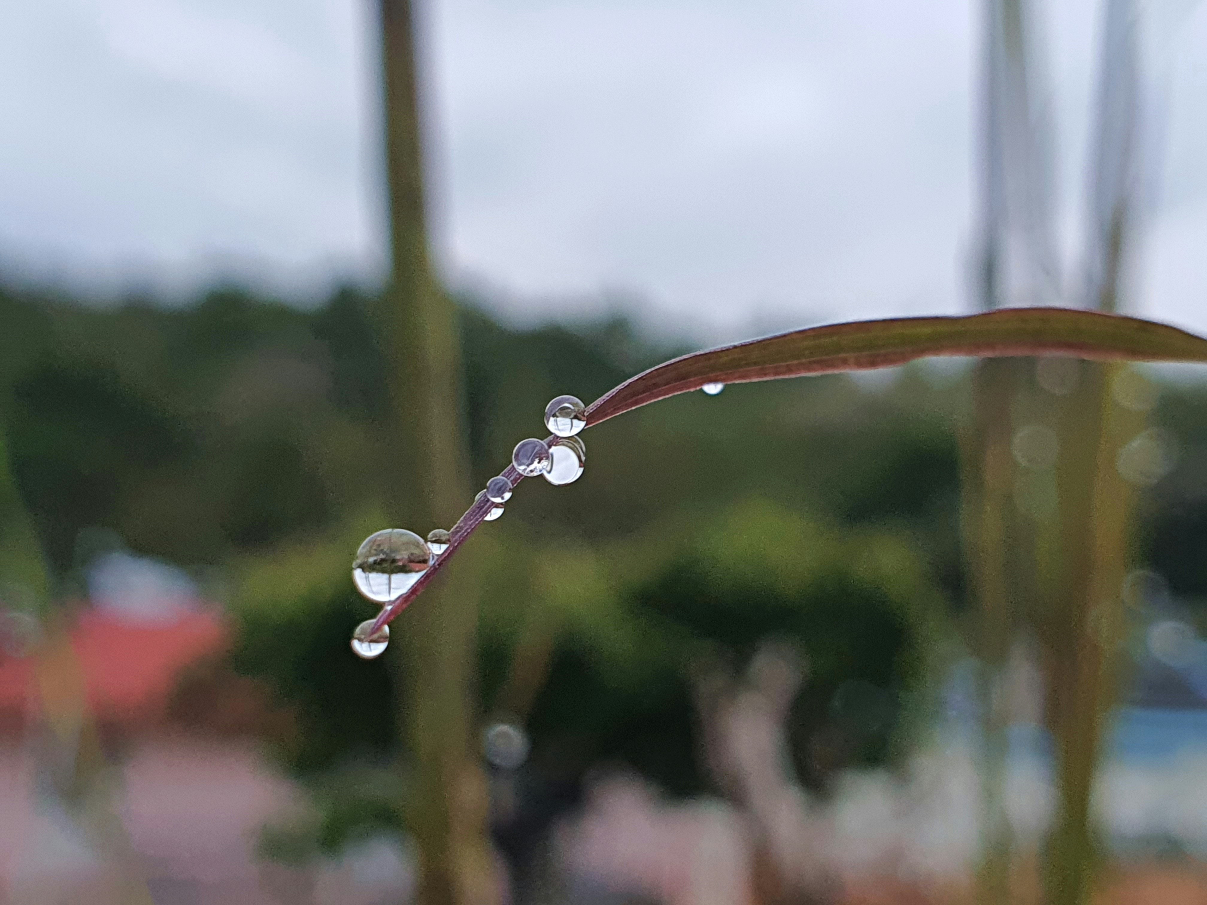 Photo by k ms with Samsung Galaxy Note 10