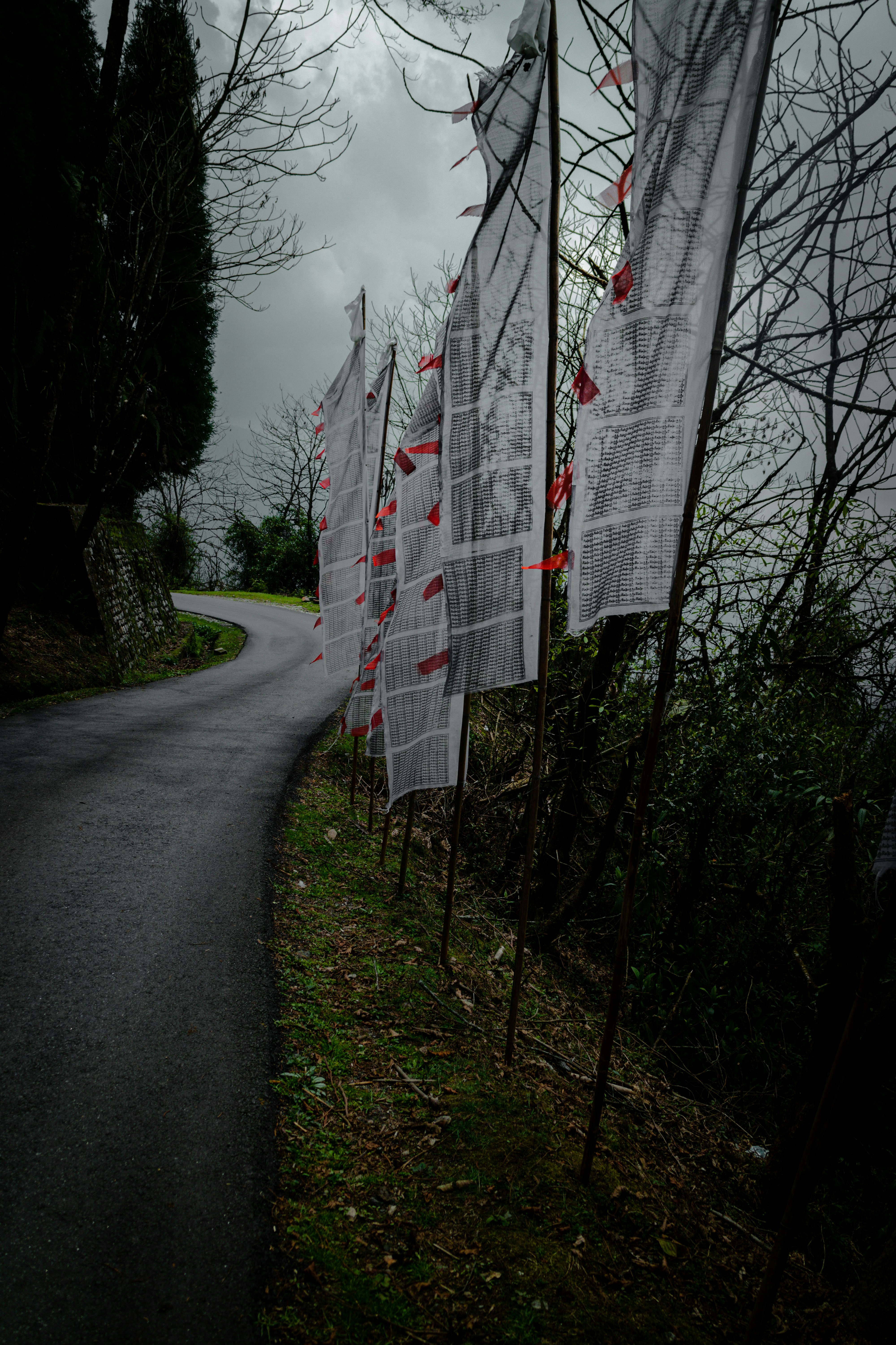 A bunch of flags that are on the side of a road photo – Free Phadamchen ...