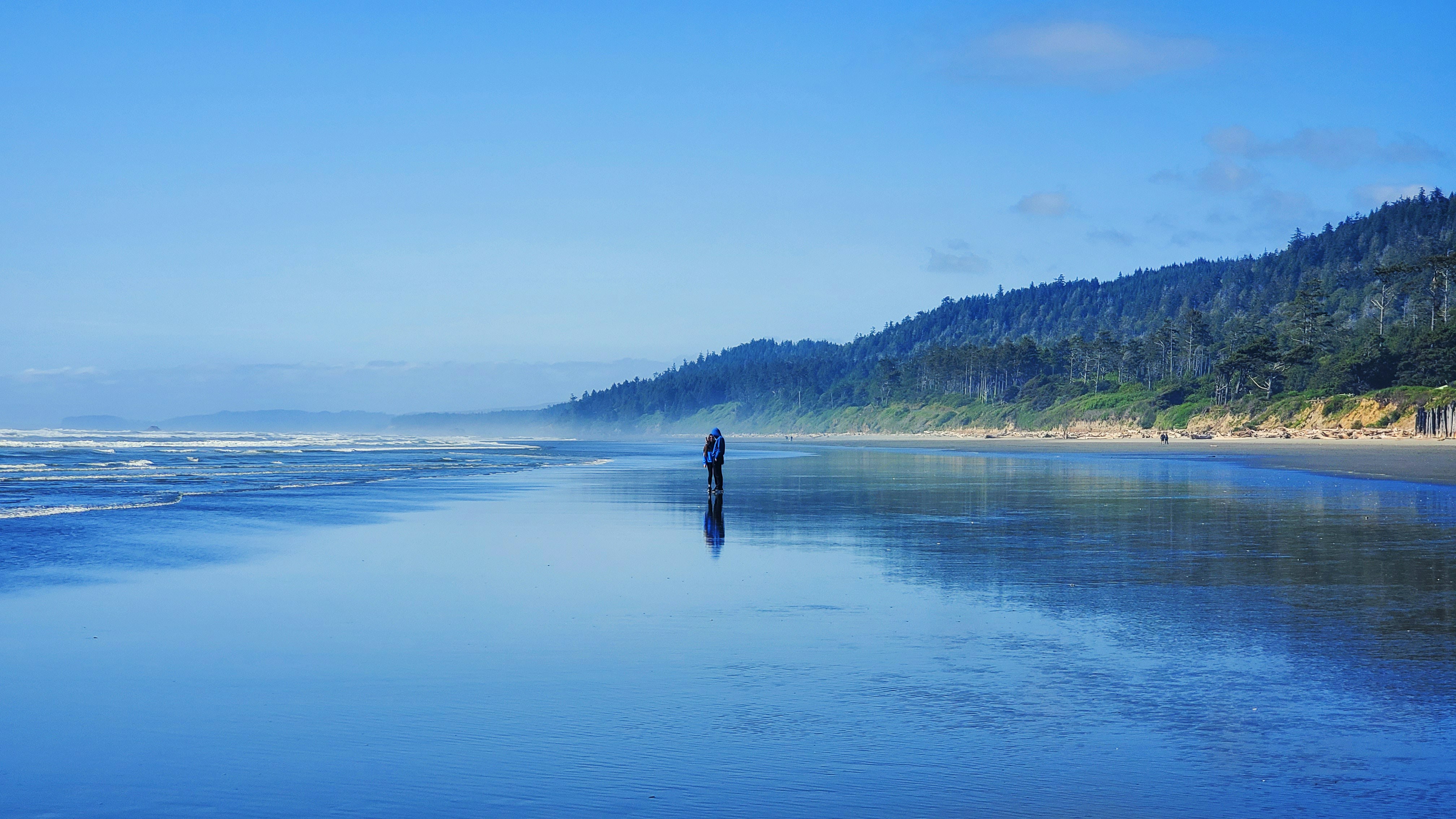 A lone figure stands on a glassy, wet shoreline with forested dunes fading into the distance.
