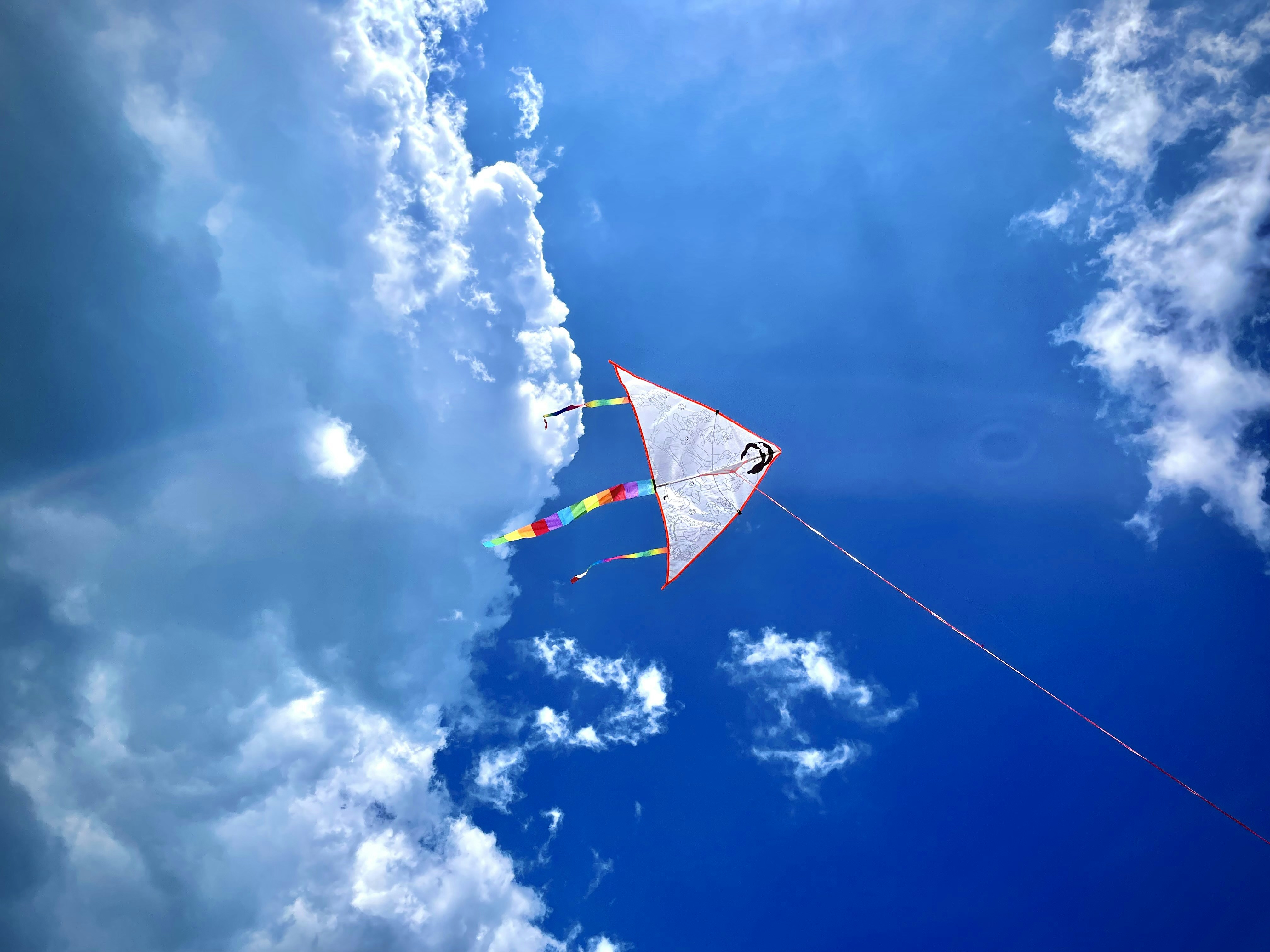 A kite is flying high in the sky photo – Free Image on Unsplash