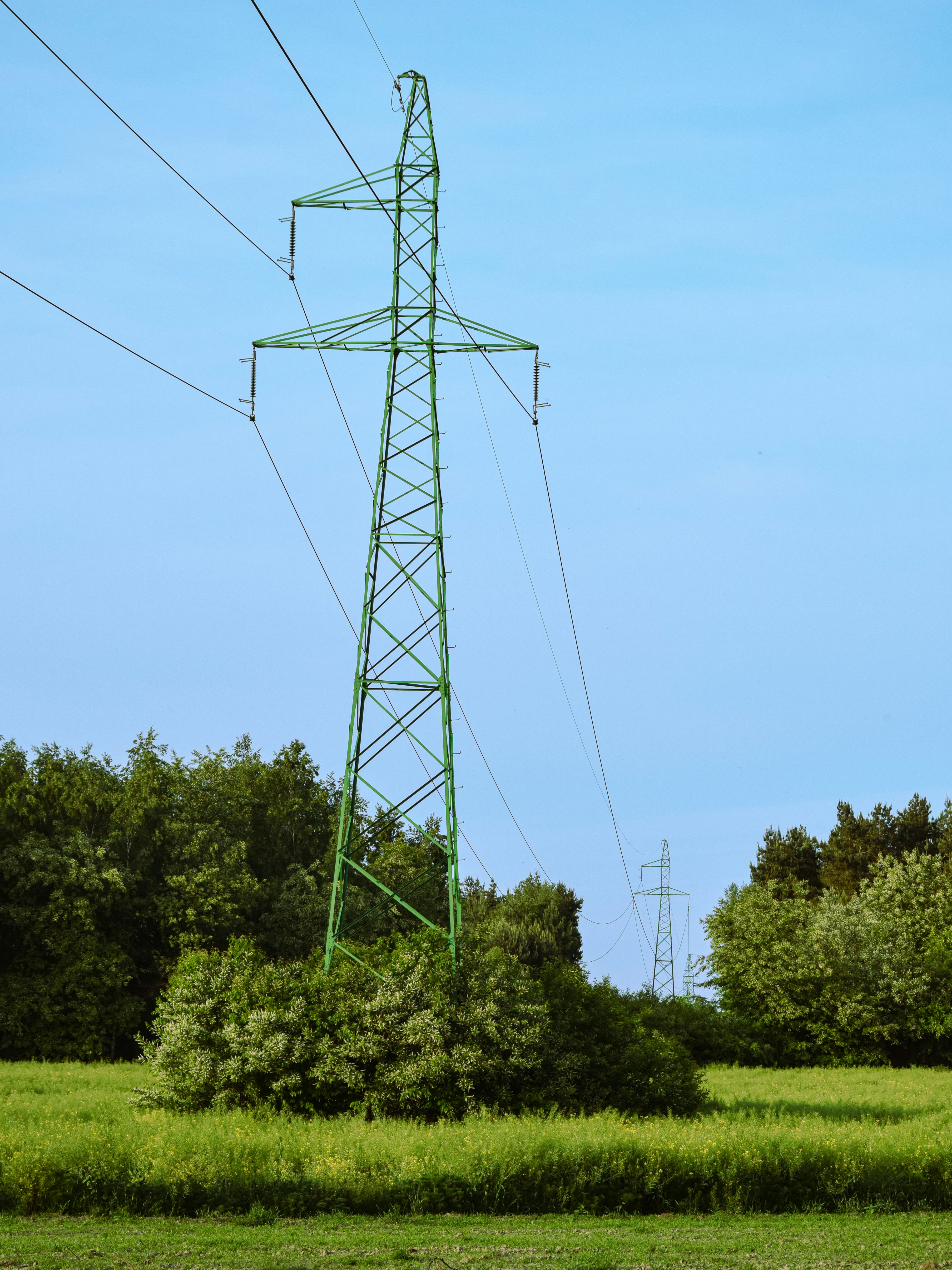 A tall green electricity pylon surrounded by lush greenery and open fields under a clear blue sky.