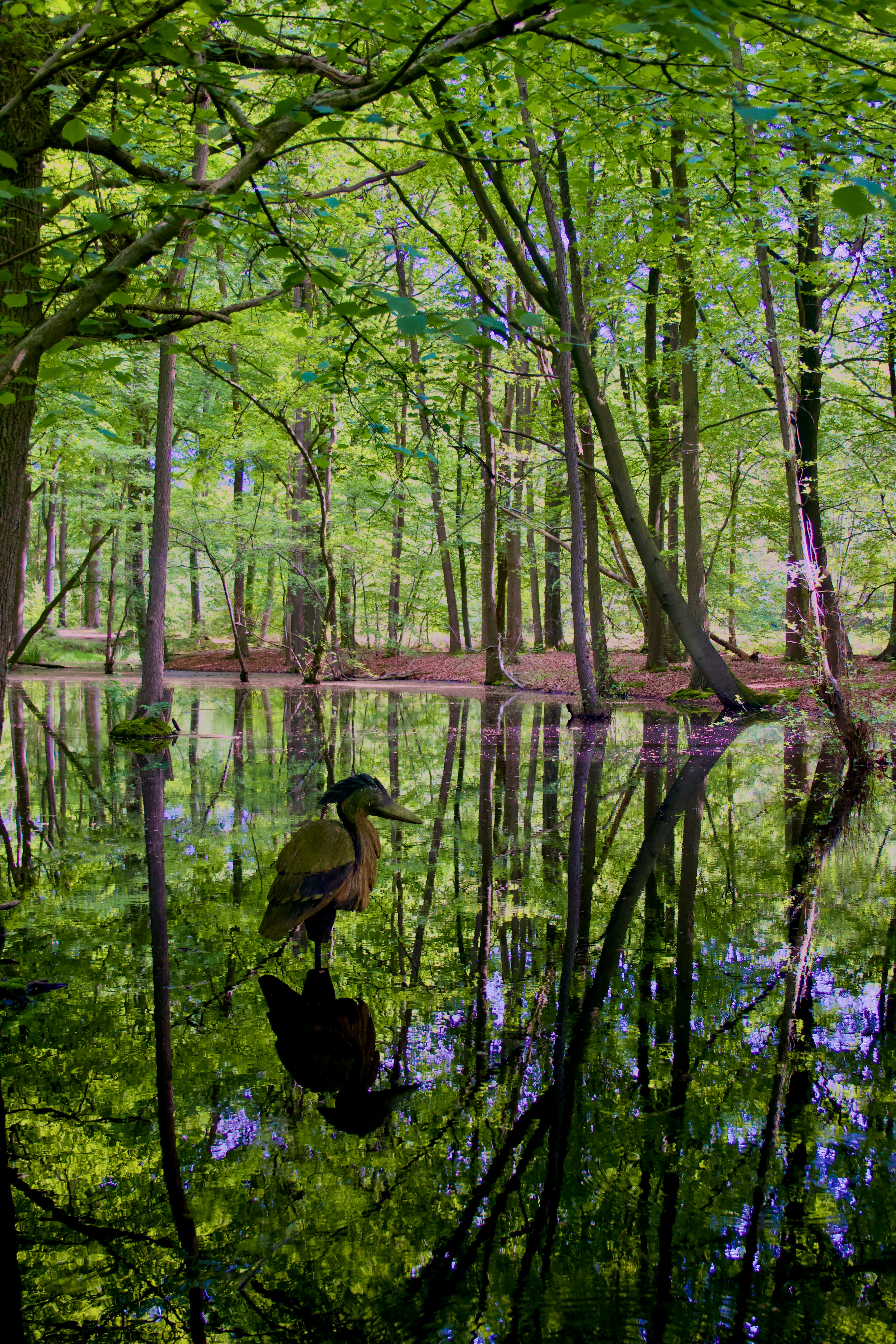 Photo by Guillaume Vande Maele with Canon EOS 70D