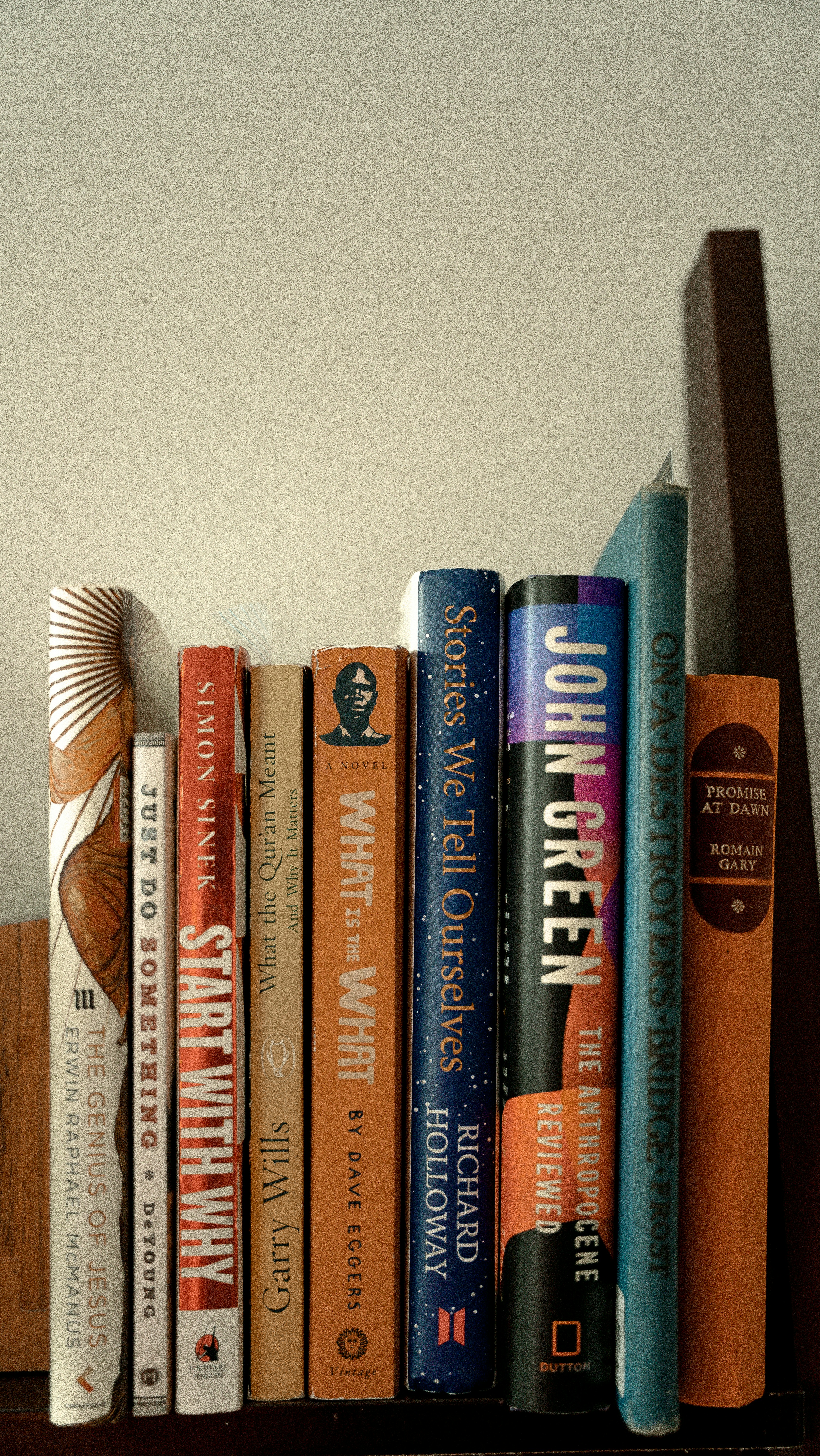Spine Spectrum: A Quiet Shelf Portrait