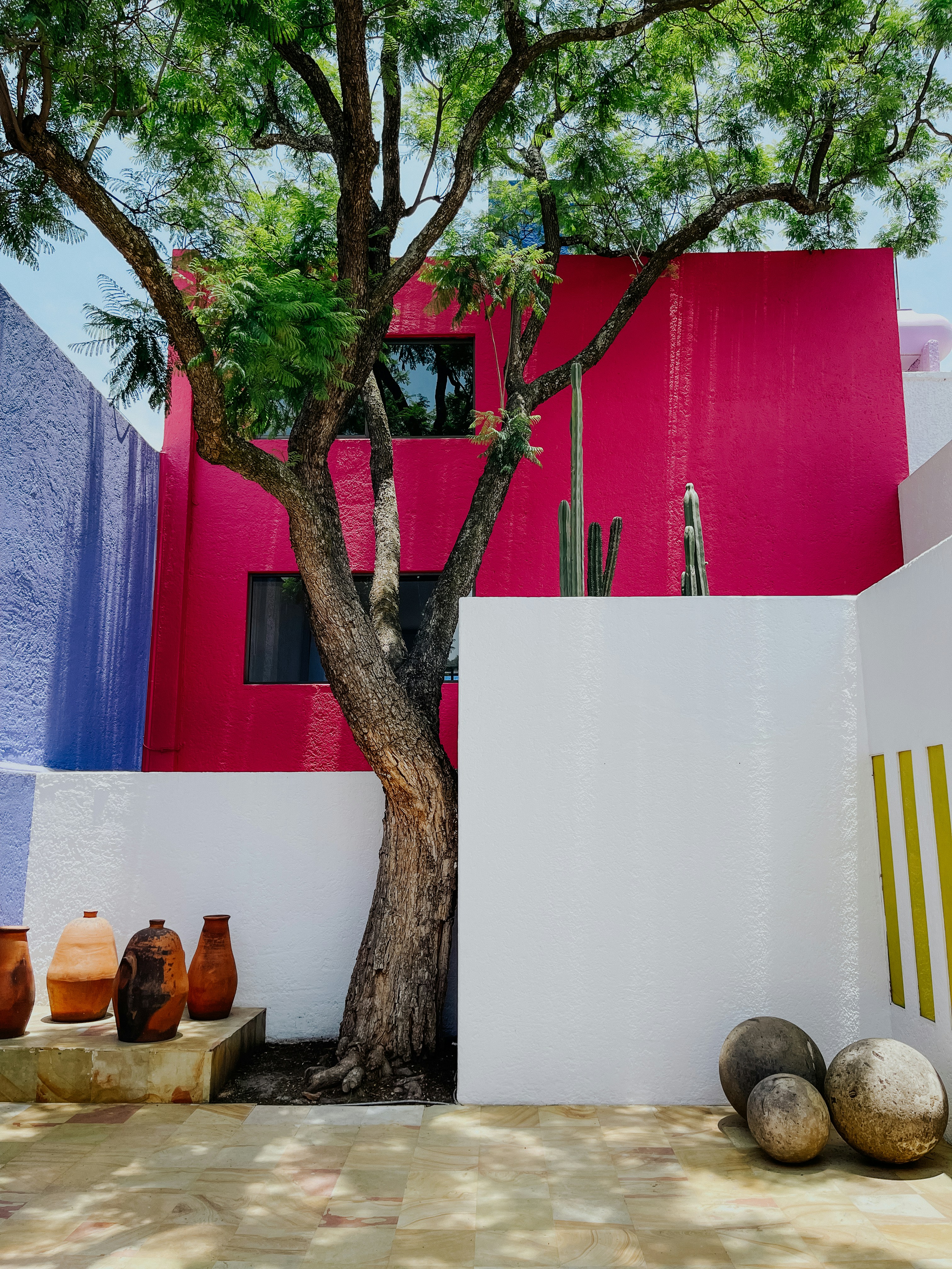 a tree in front of a white wall with a pink building in the background