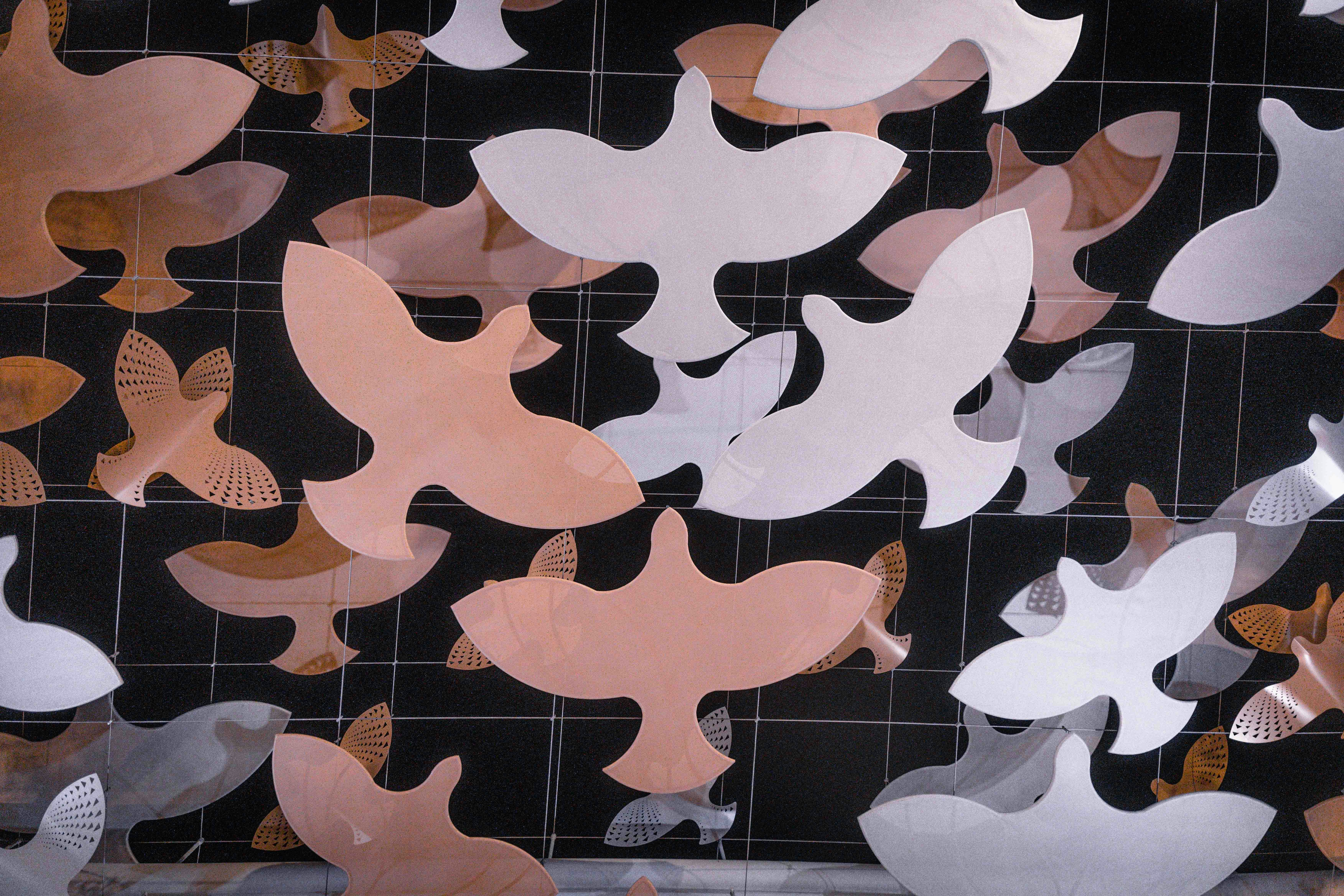 A bunch of fish that are on a wall photo – Free Art Image on Unsplash