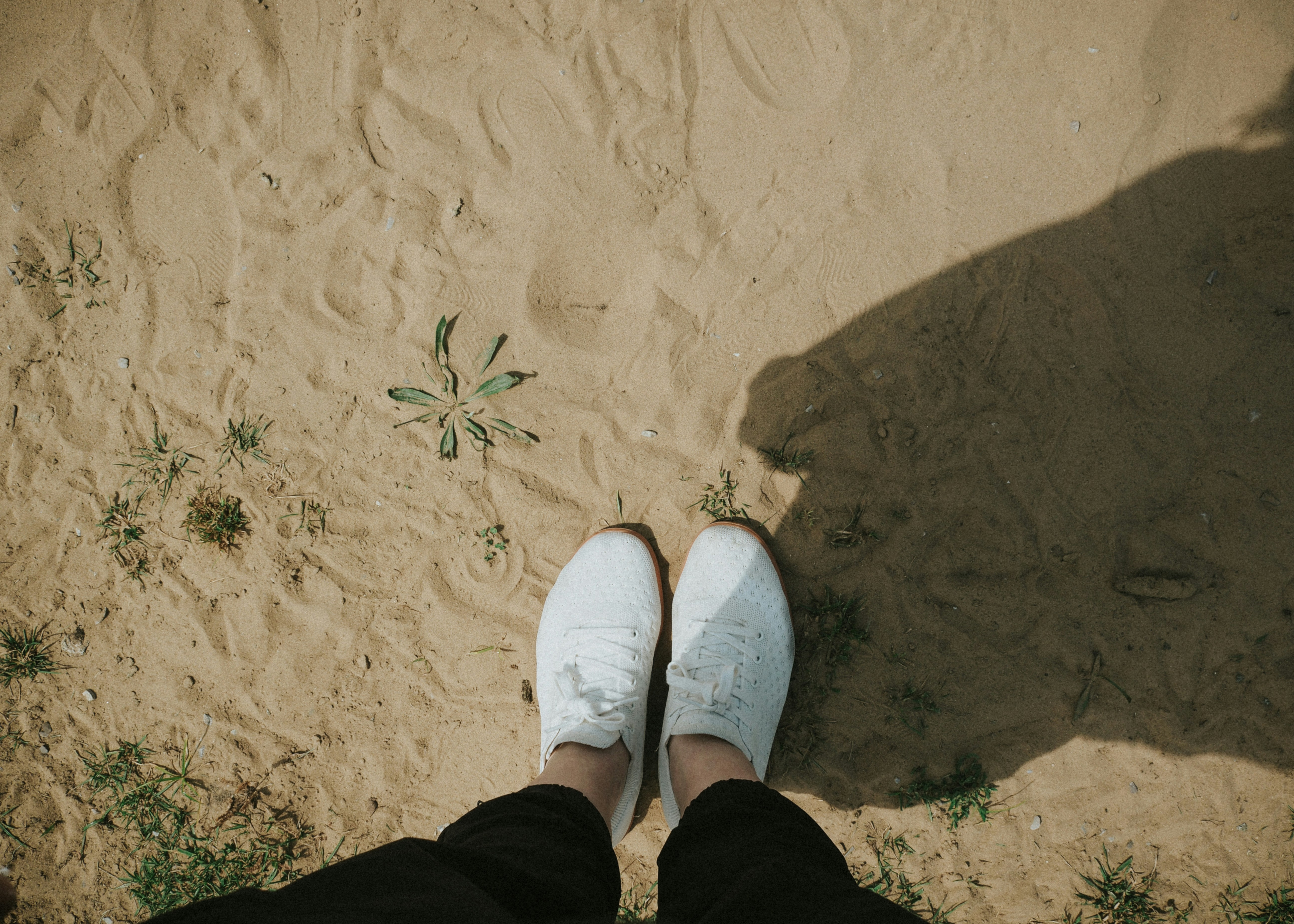White Sneakers on Sunlit Sand: Ground-Level Pause with Shadow
