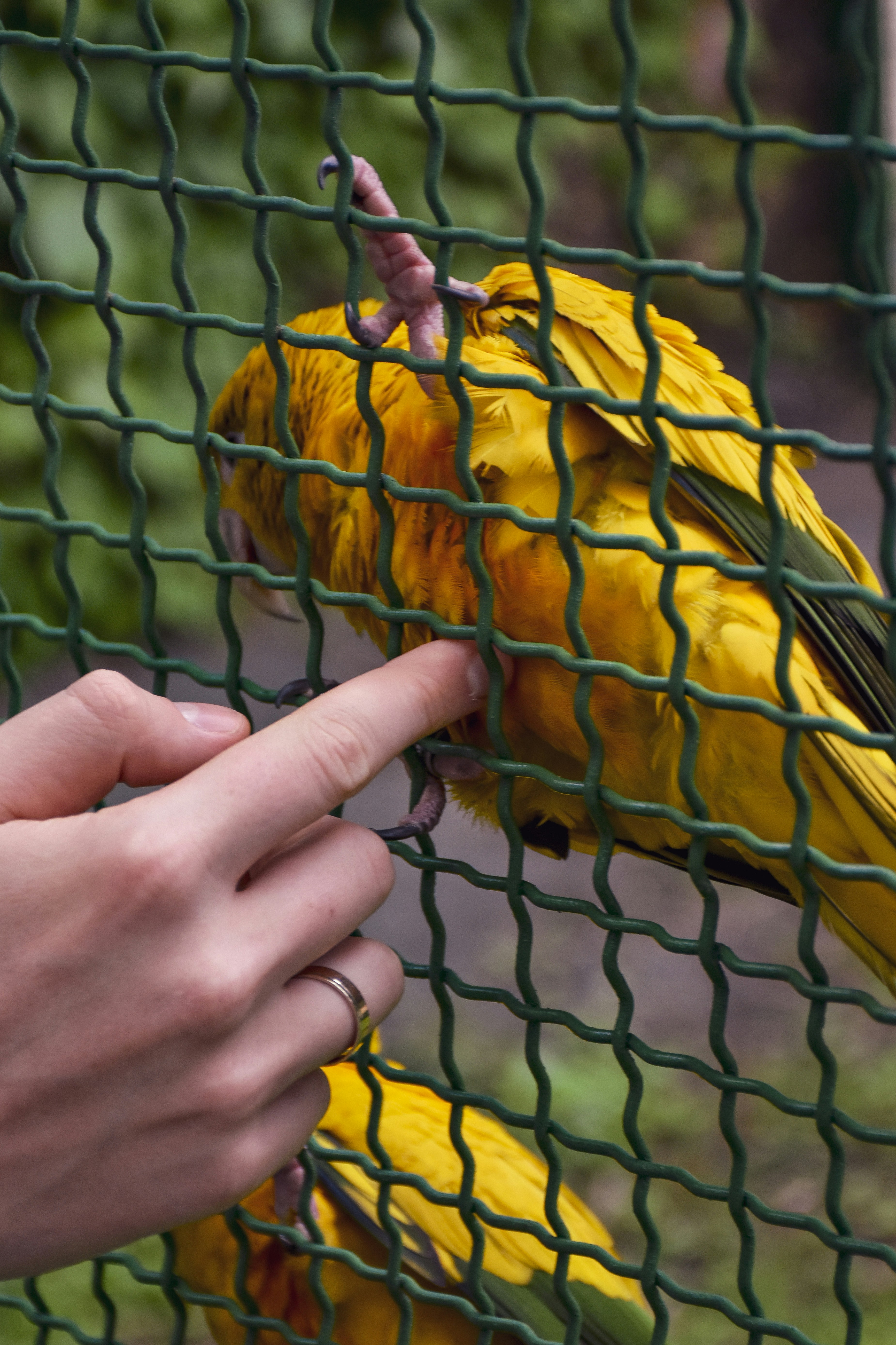 Photo by Artem Makarov with Nikon D5600