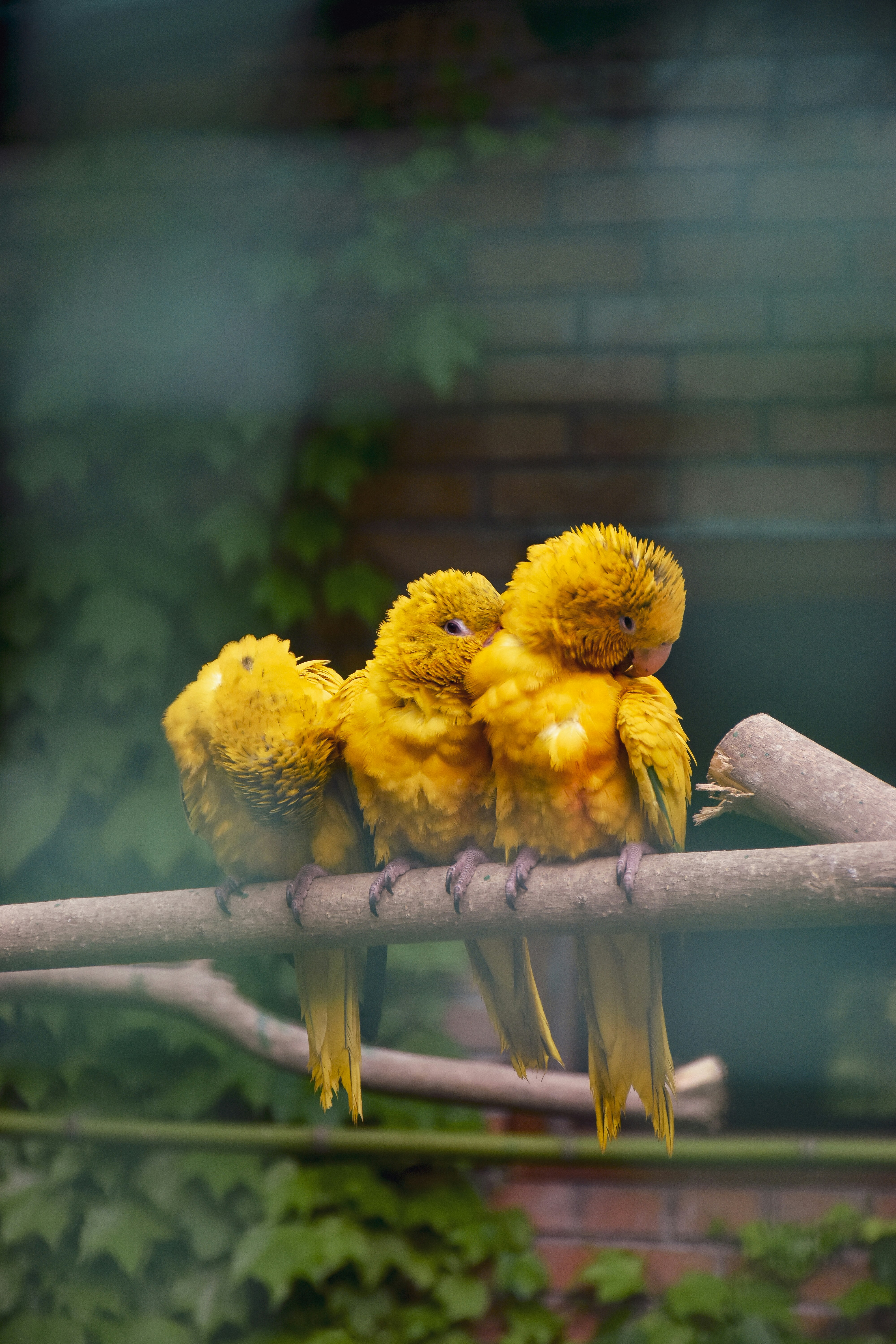 Photo by Artem Makarov with Nikon D5600