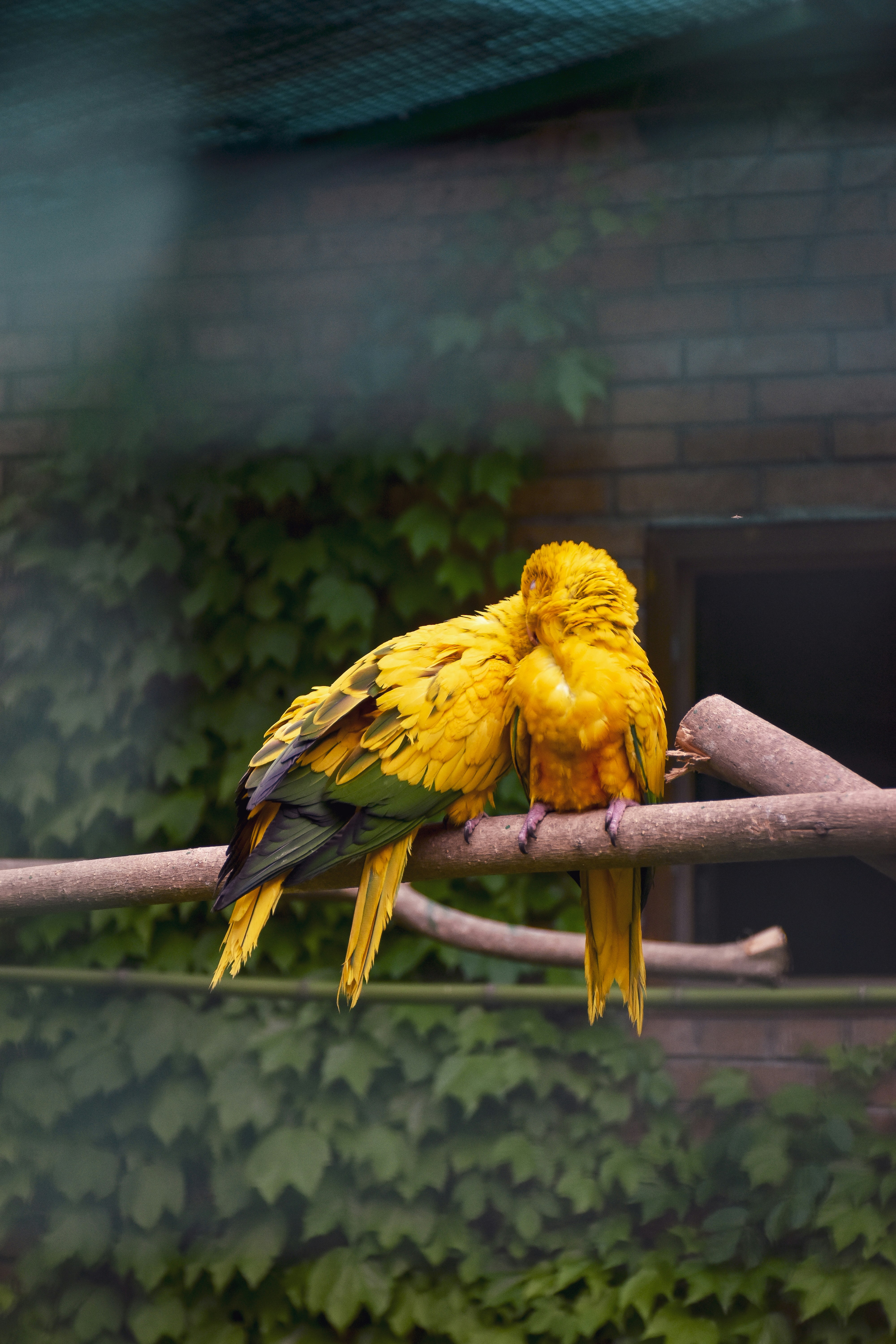 Photo by Artem Makarov with Nikon D5600