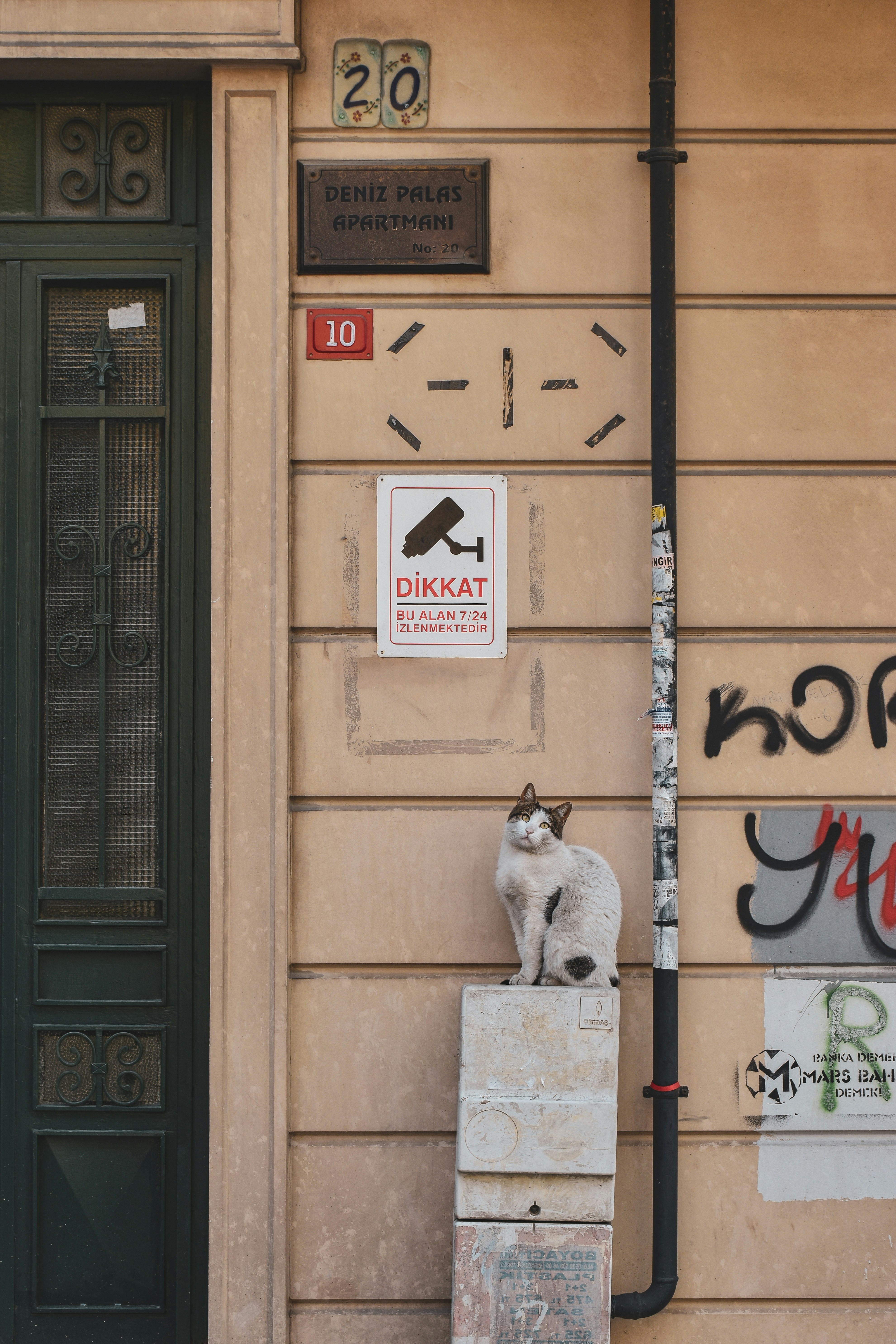 Sentinel Cat on a Sunlit Facade: CCTV Signage and Graffiti as Quiet Backdrop