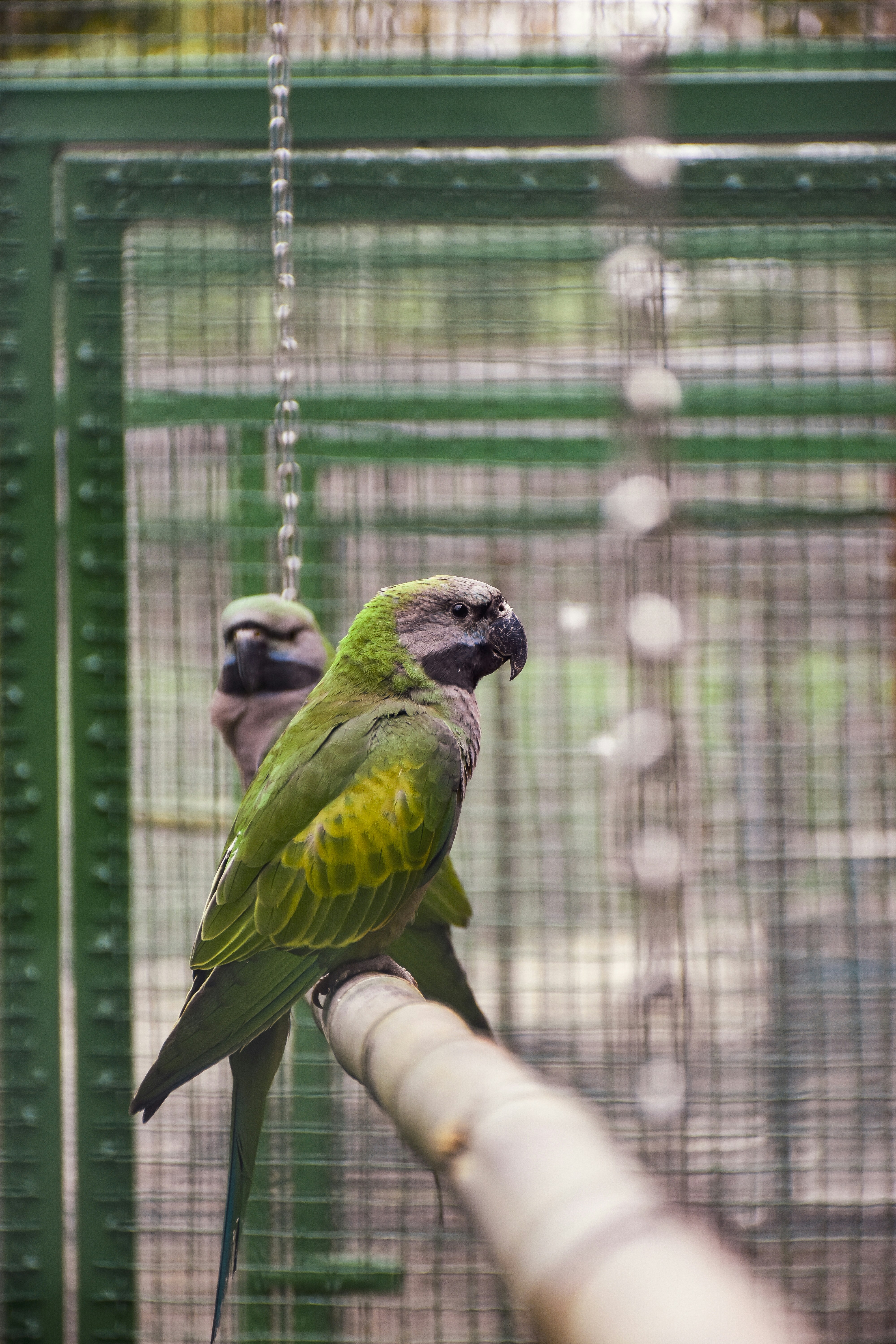 Photo by Artem Makarov with Nikon D5600