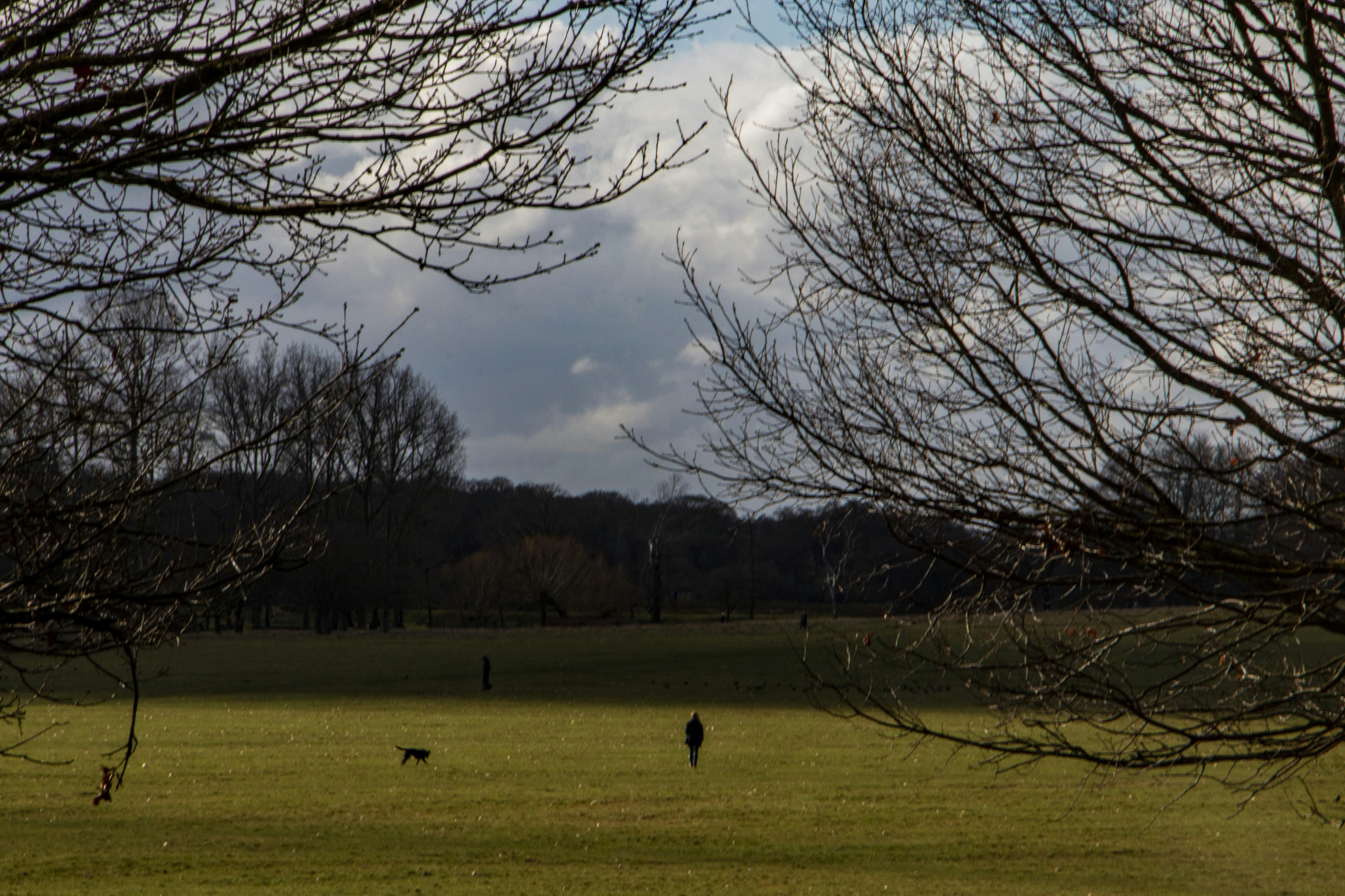 Photo by sergio junior with Canon EOS 70D