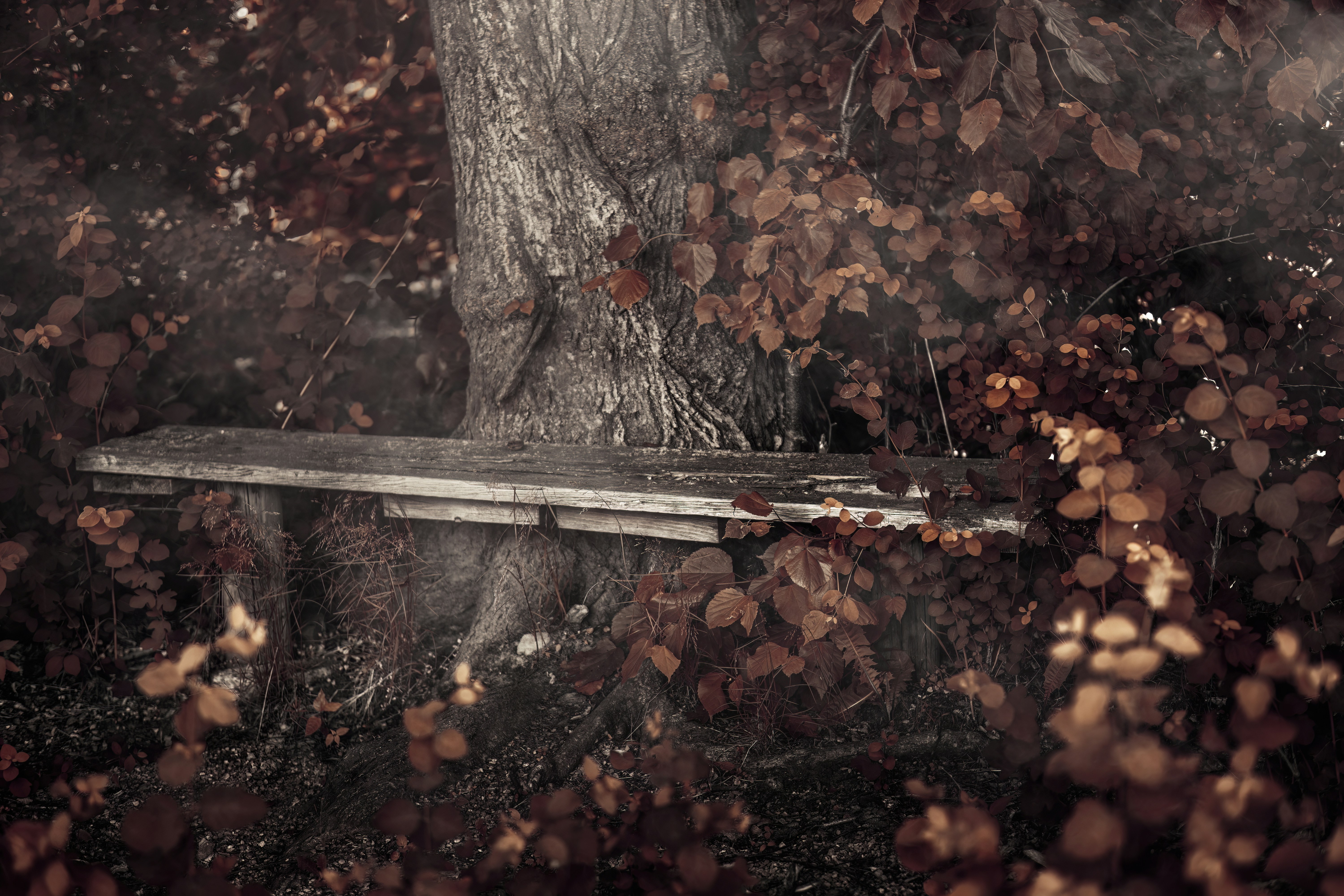 Photo by Martin Martz with Sony Alpha 6400