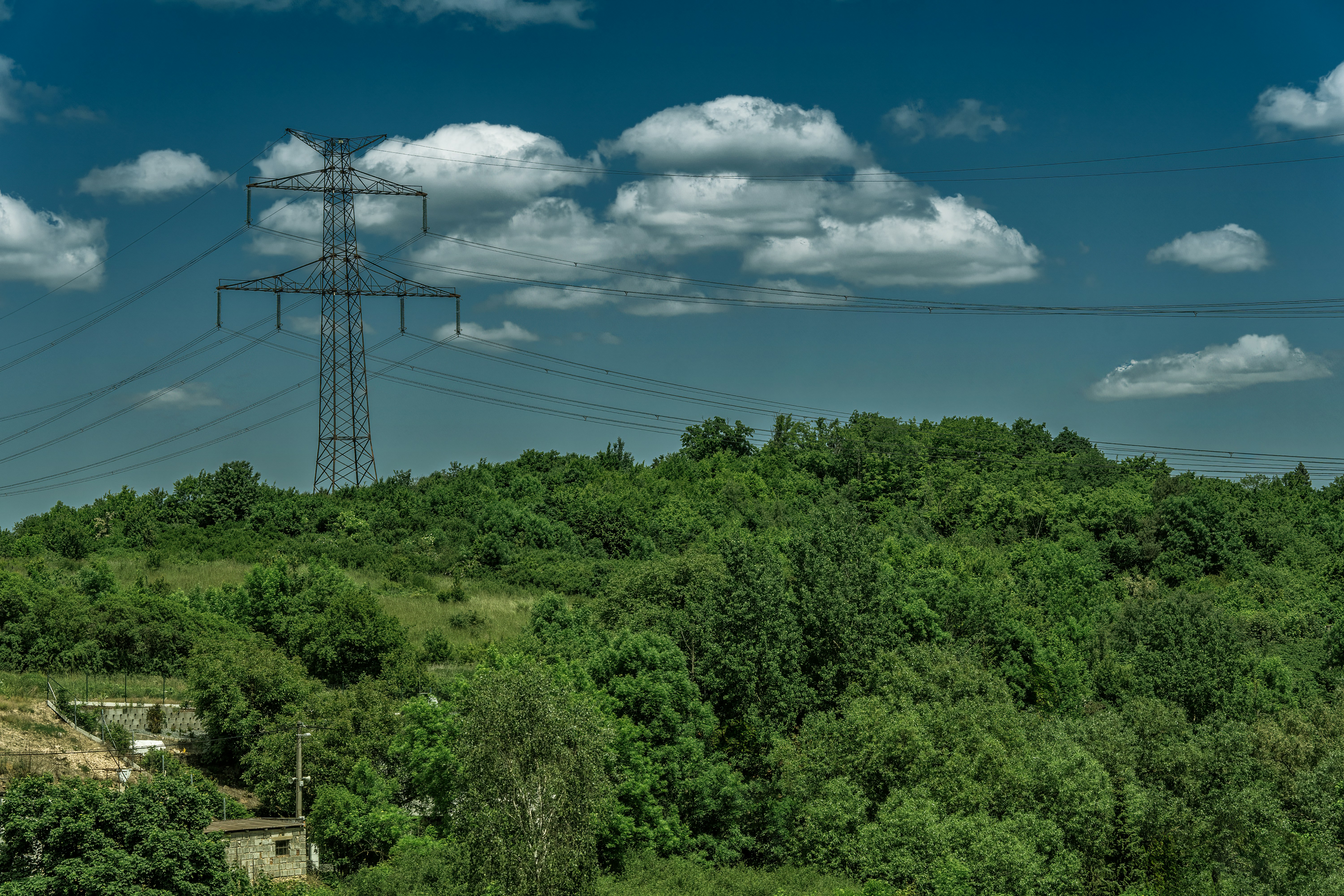 A power line in the middle of a lush green forest photo – Free Sky ...