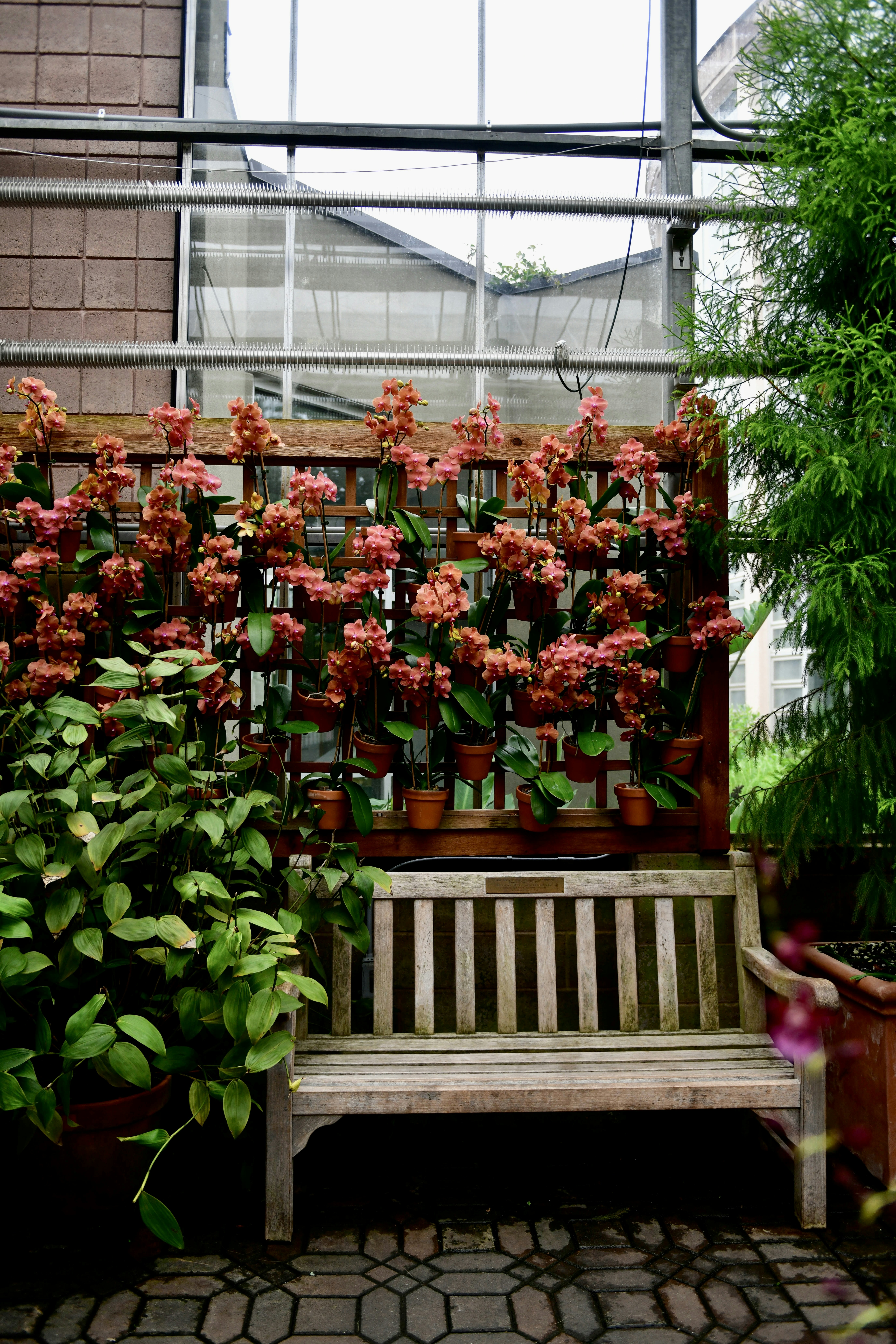 Un [UNK] [UNK] sentado junto a un [UNK] de [UNK] foto – Imagen de Banco ...