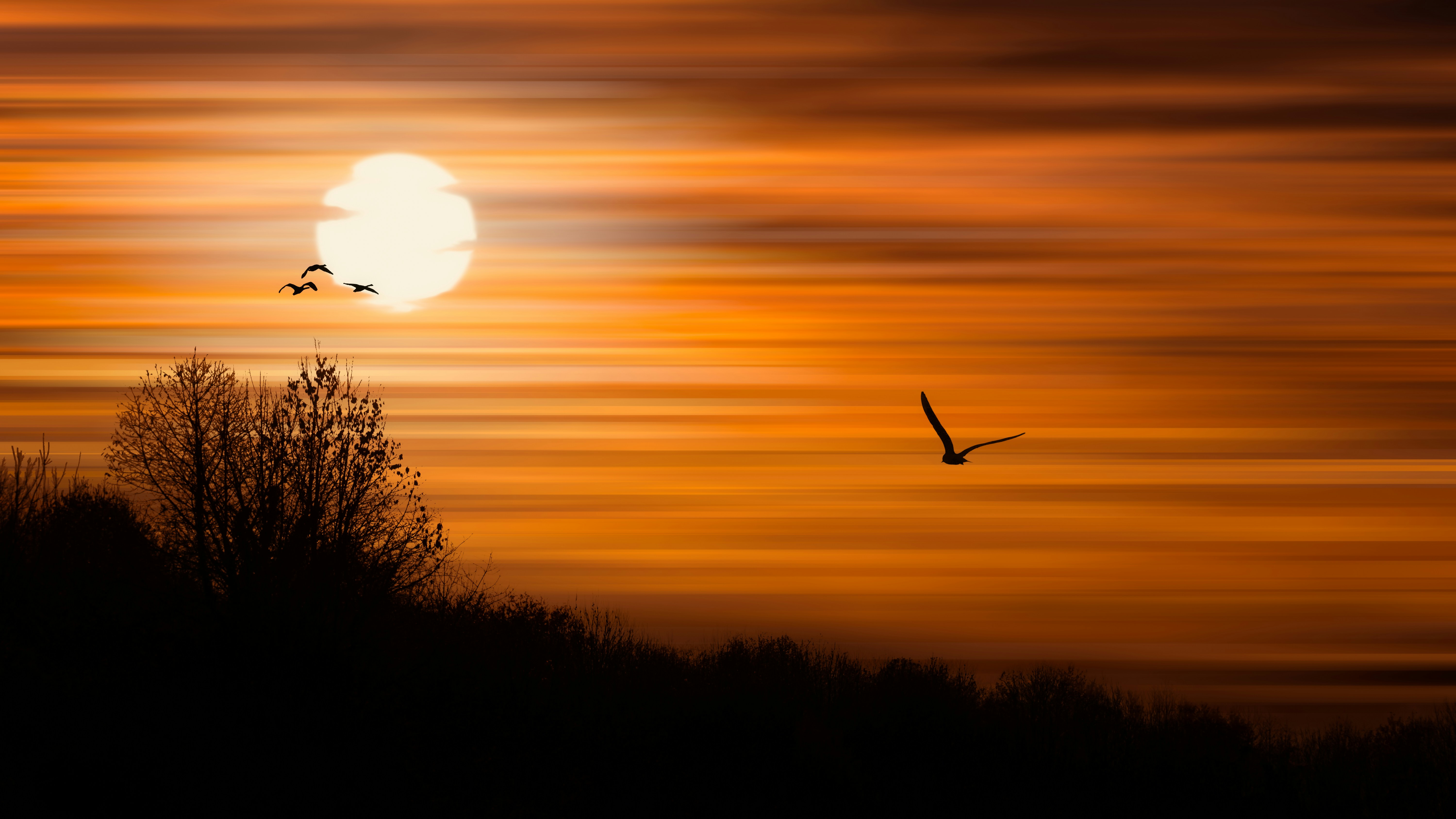 Crimson Sundown: Birds in Flight Over a Silhouetted Horizon