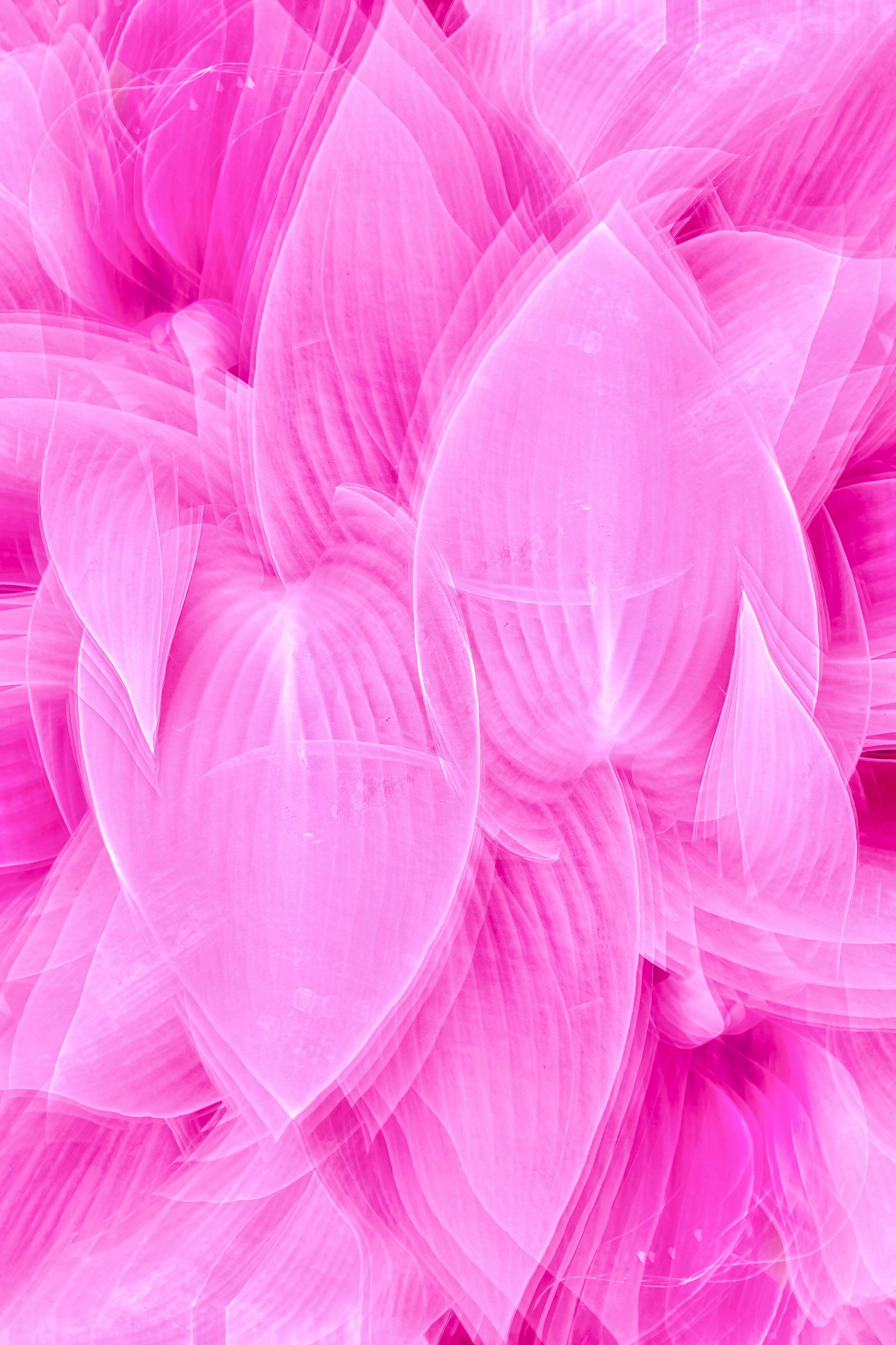 A [UNK] background with a [UNK] of [UNK] on it photo – Free Pattern ...