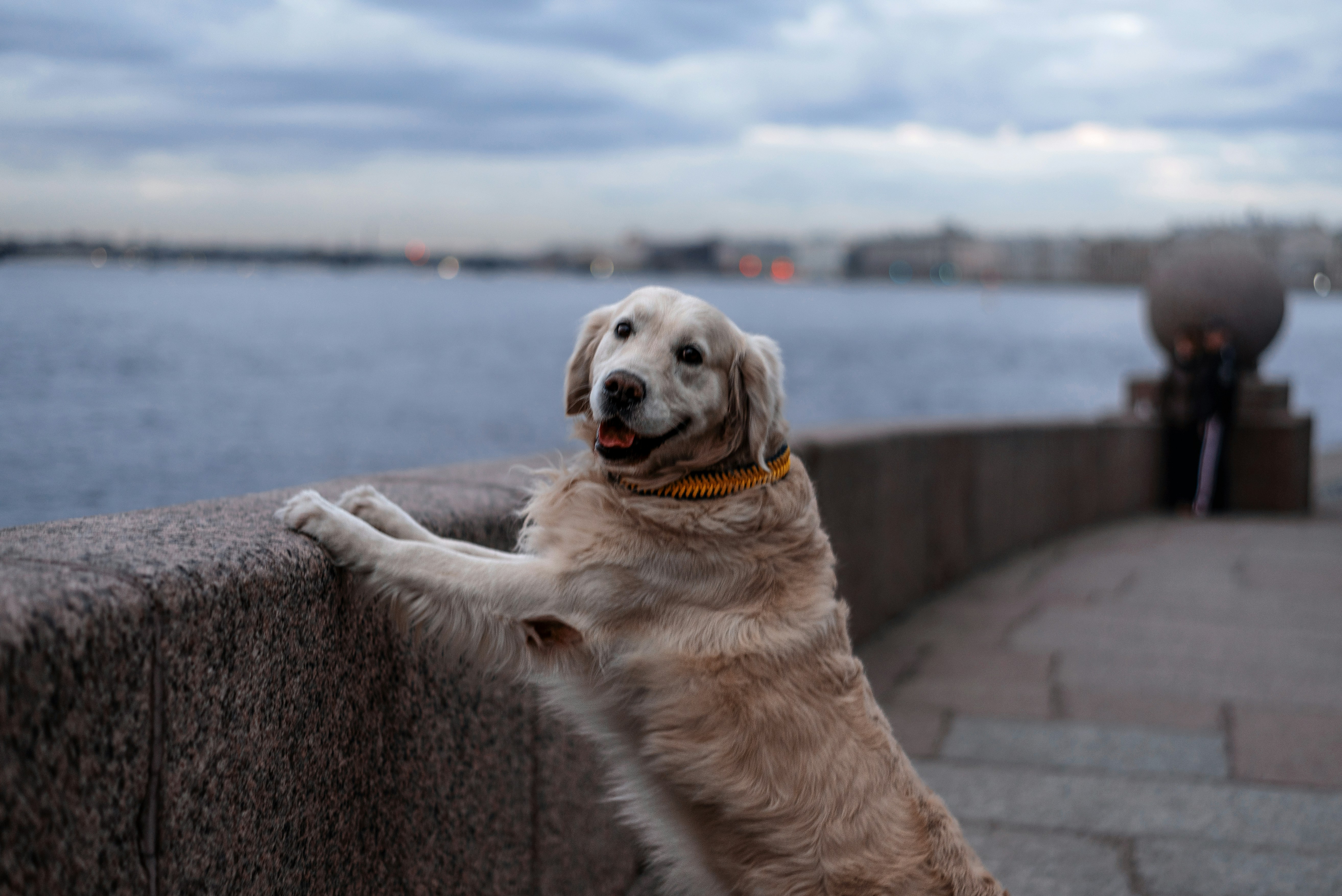 Photo by Vitali Adutskevich with Nikon D750