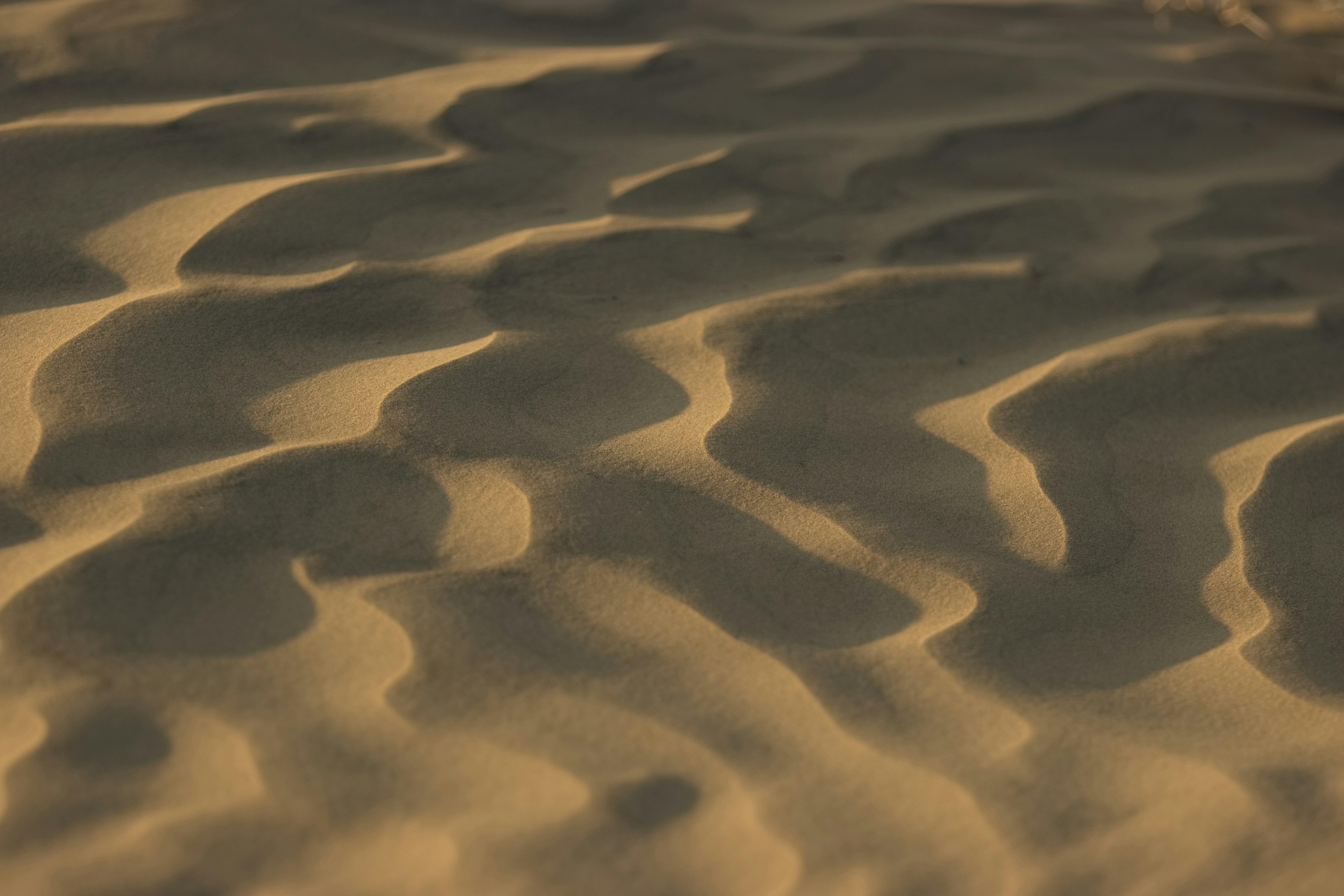 Sculpted Sands: Nature's Abstract Artmostafa meraji