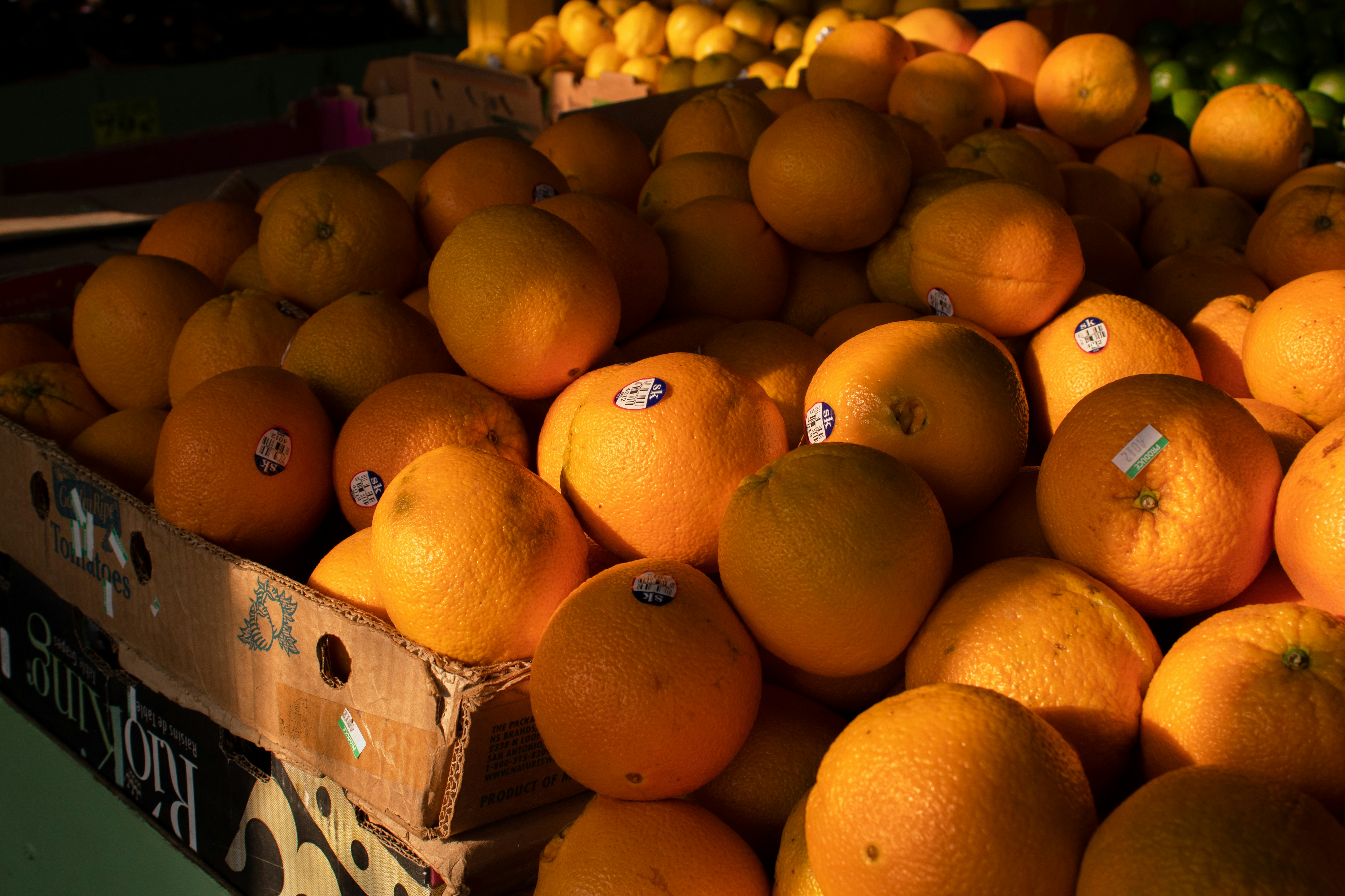 Izaac Crayton (@izaac_crayton) | Komunitas Foto Unsplash