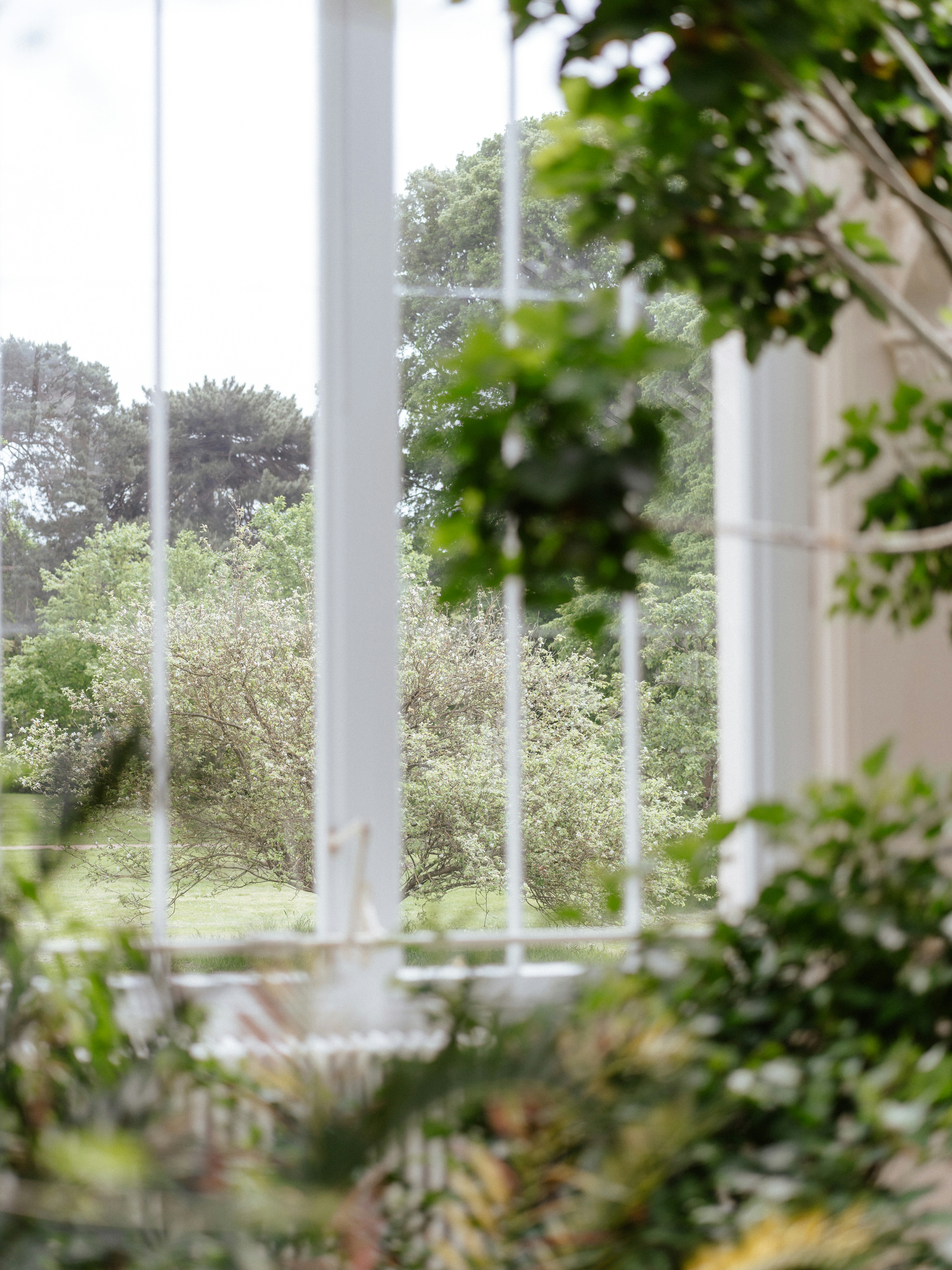 A view of a forest through a window photo – Free Flora Image on Unsplash