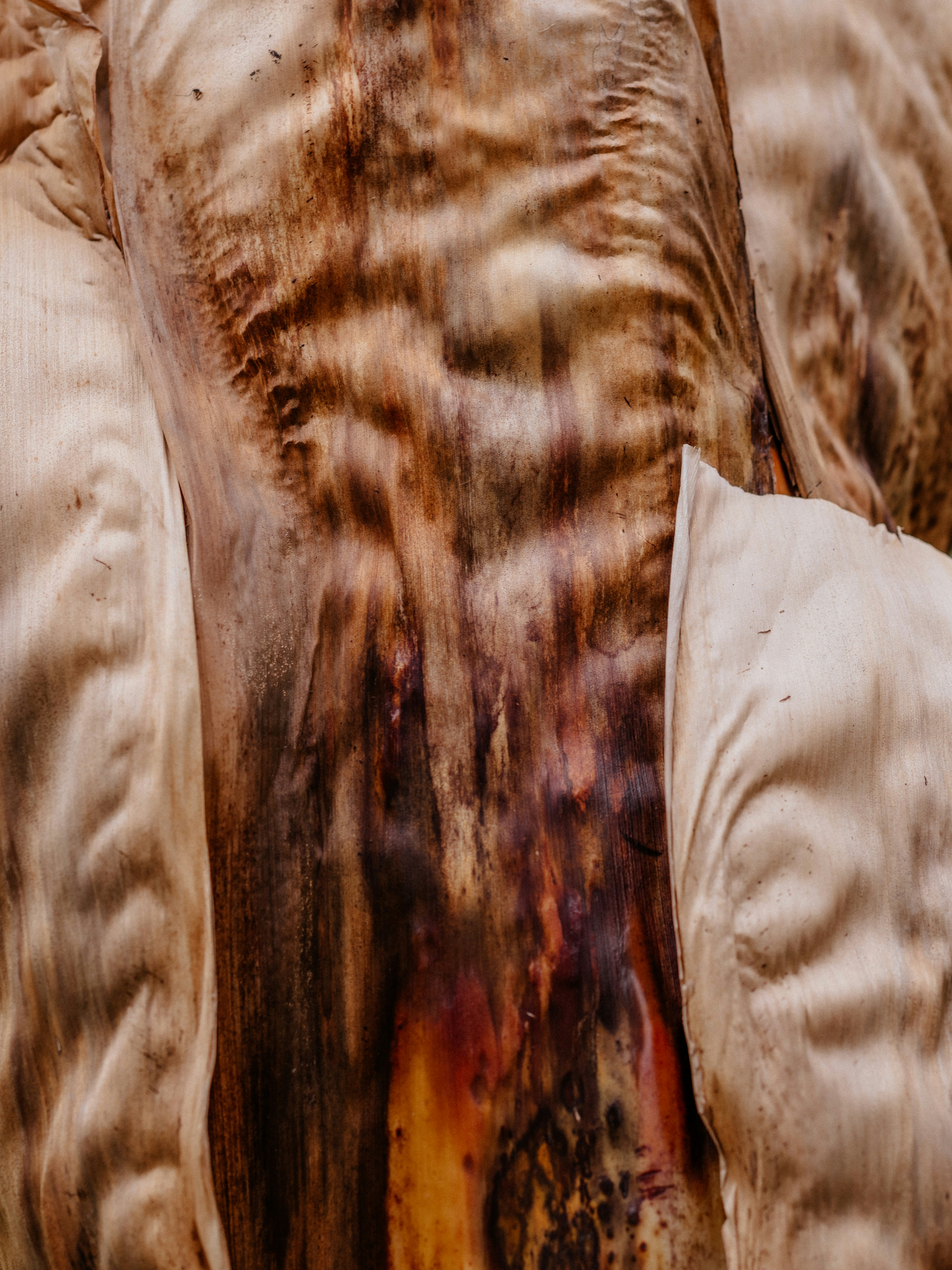 Close-up of weathered timber reveals deep vertical grain, warm browns, and patina, emphasizing natural texture and color variation.
