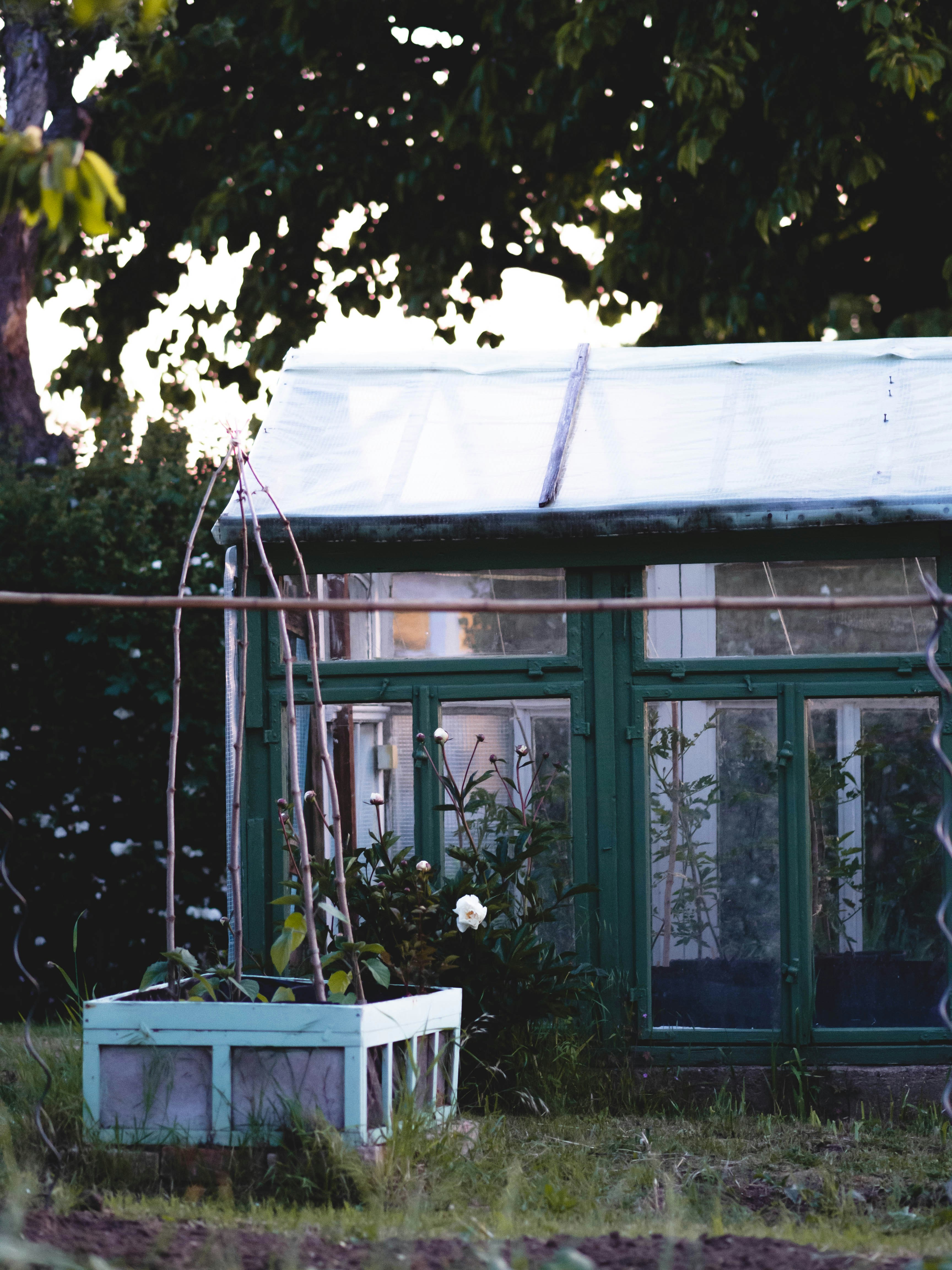 Photo by Eileen Kummer with Olympus OM-D E-M10 Mark II