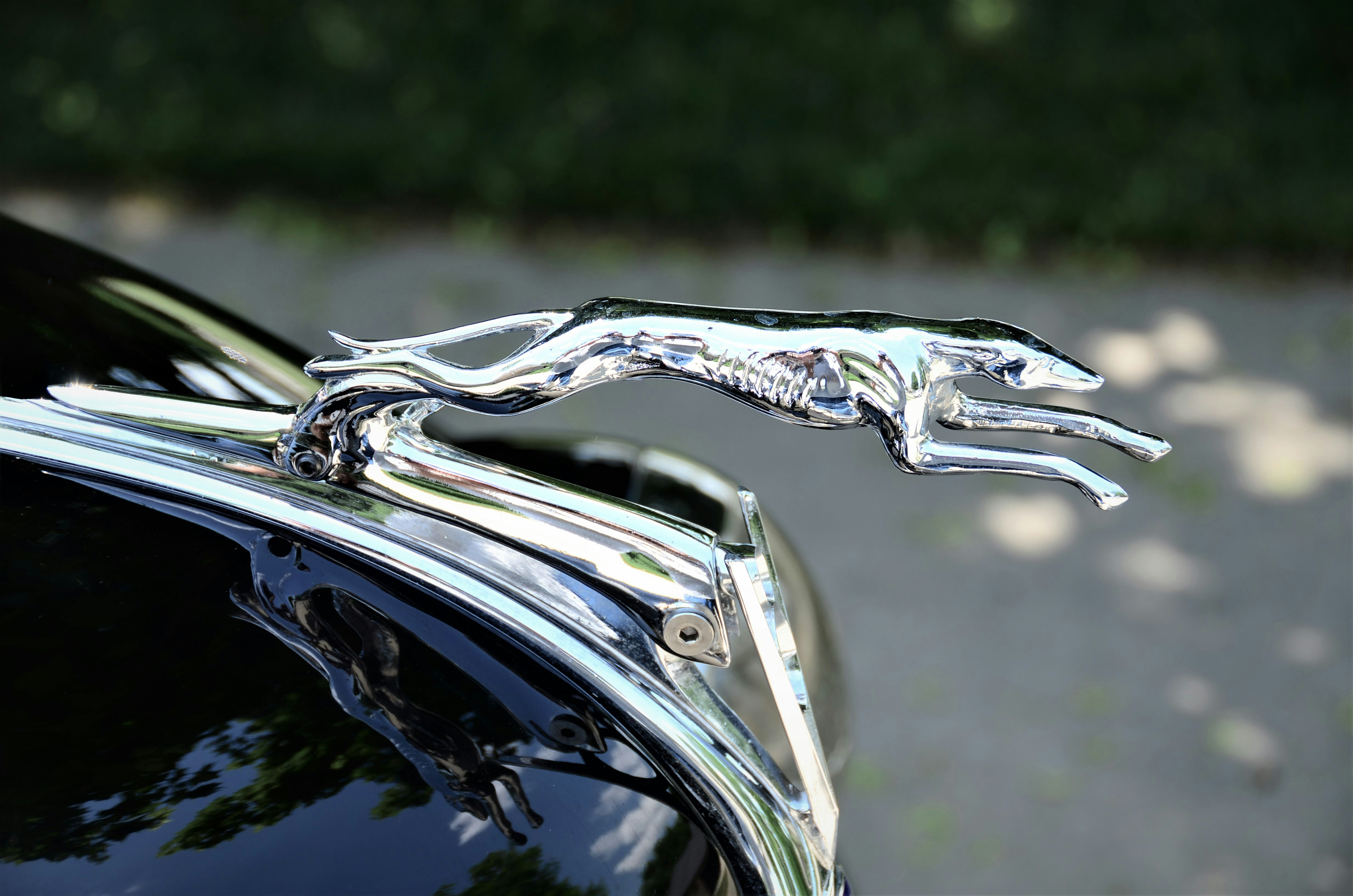 1936 Ford 5 window Coupe flathead V8, Grayhound Hood Ornament