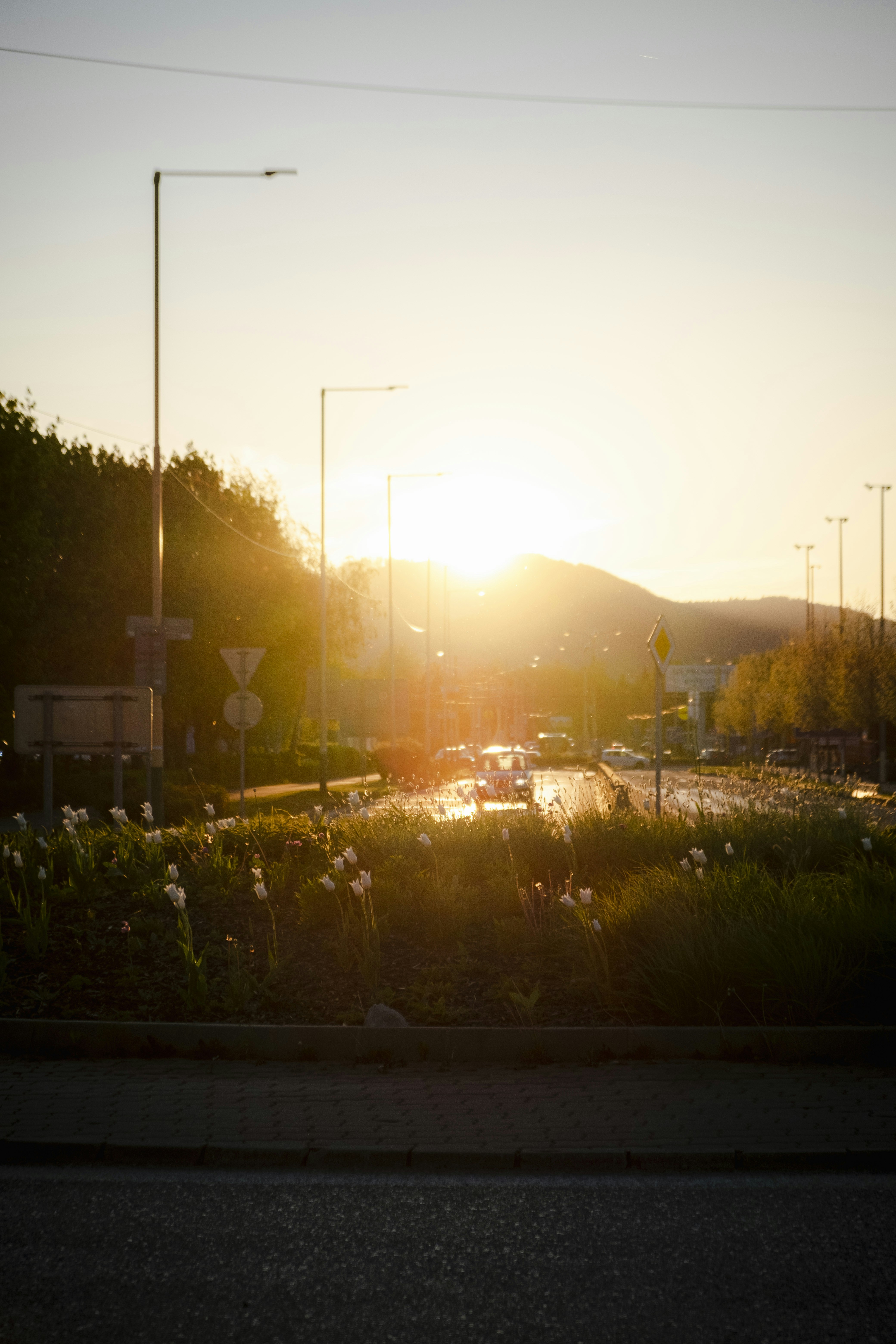 A little break from studying