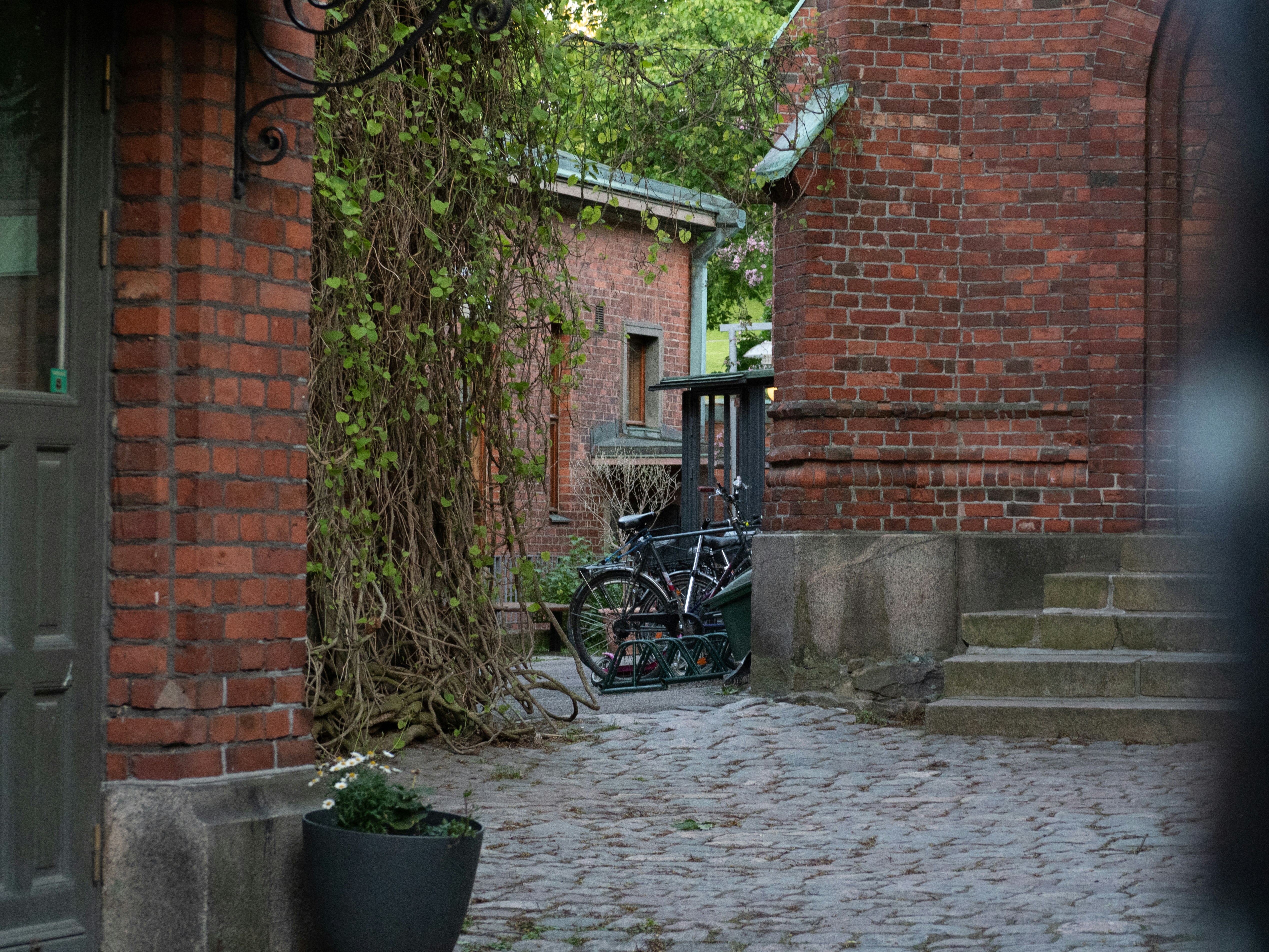 Photo by Jani-Petteri Tammi with Olympus OM-D E-M10 Mark IV