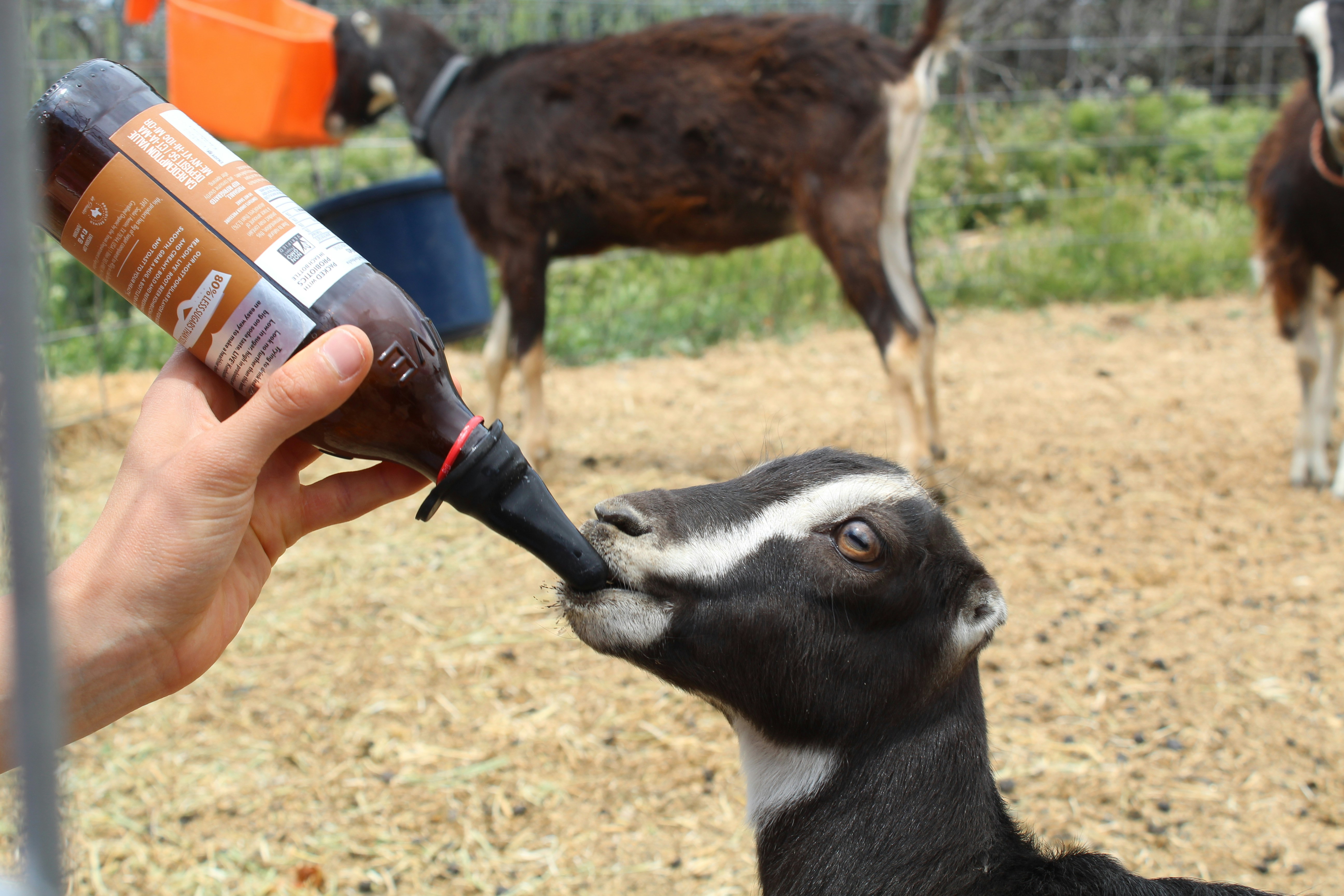 Photo by Natalie Smith with Canon EOS 1300D