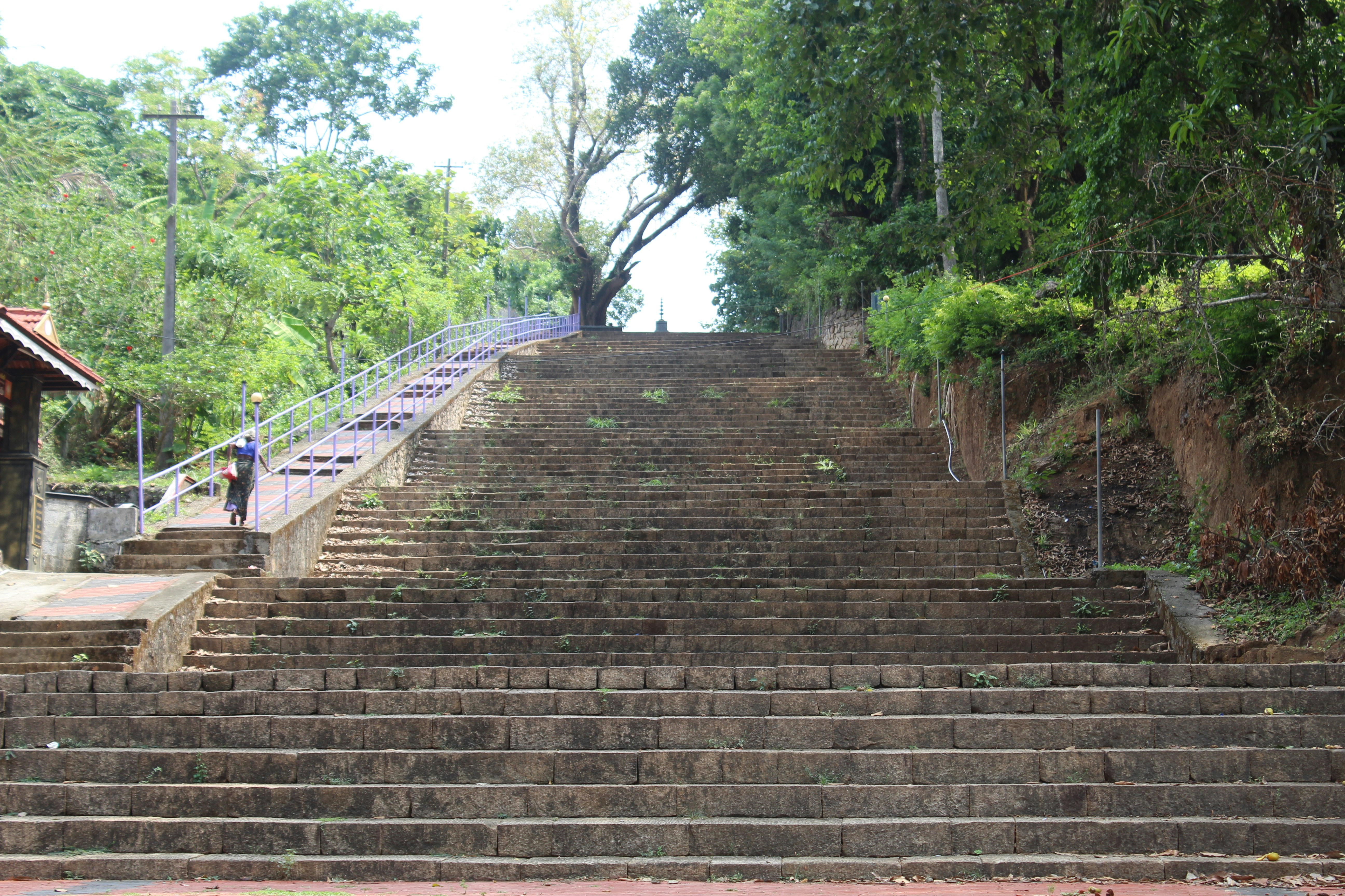 Sree Pariyanampatta Bhagavathi Temple in Palakkad | a man walking up a set of stairs