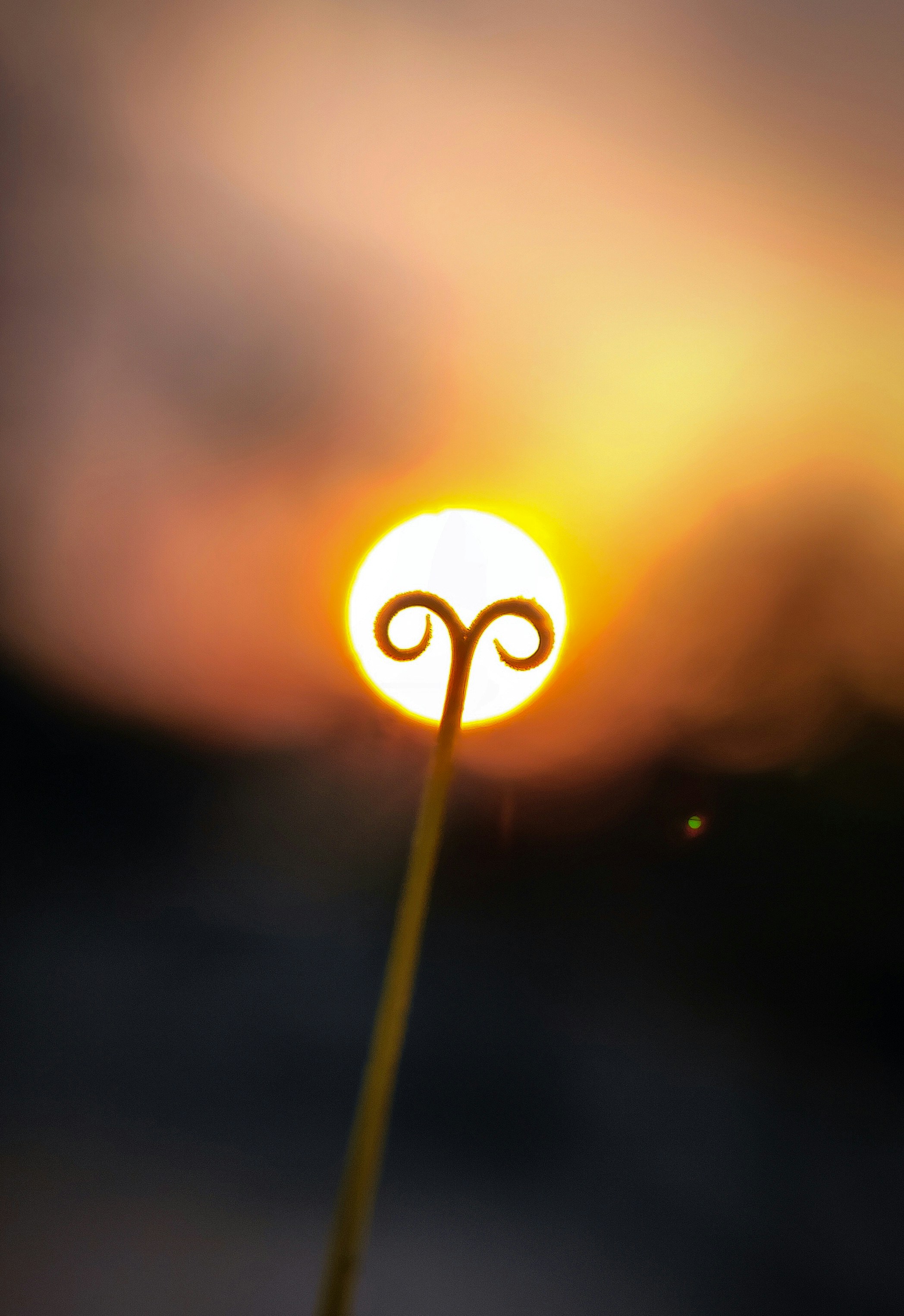 Photo by Shyamli Kashyap with Xiaomi Redmi Note 10 Pro