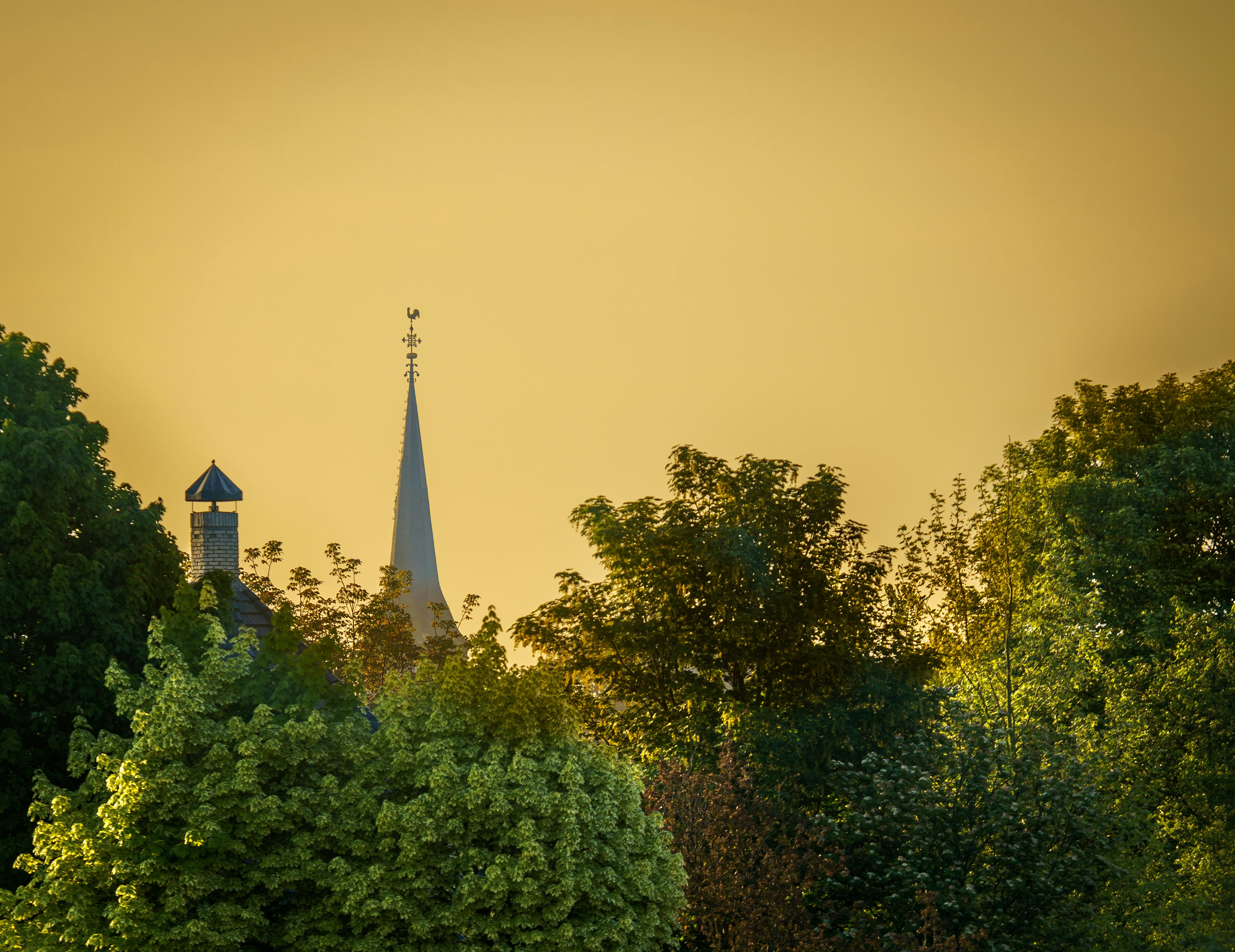 Leo Wieling (@leowieling) | Comunidad de fotos de Unsplash