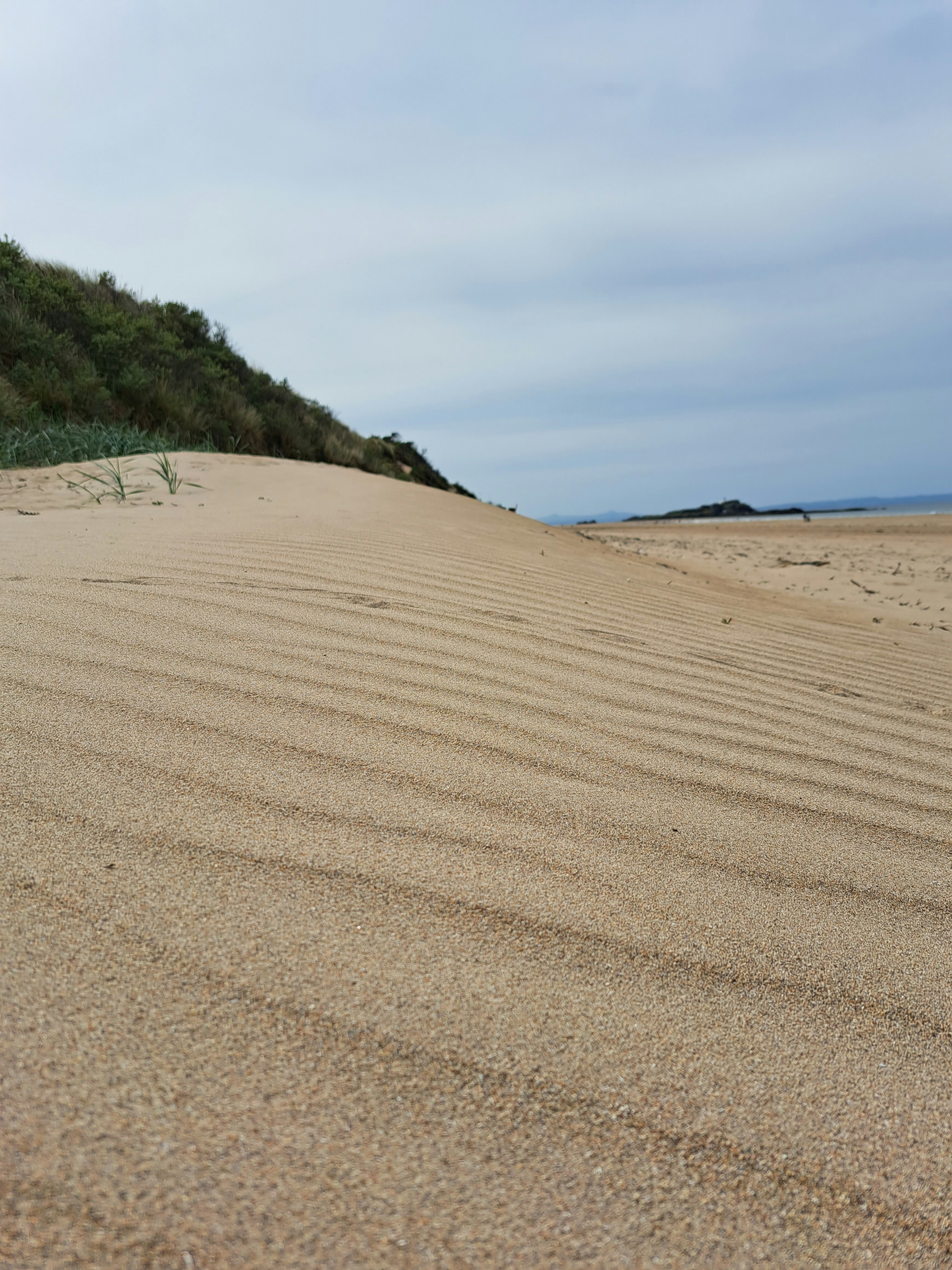 Golden sand with wind-ripple patterns stretches toward a distant horizon, with a dune edge and sparse greenery on the left under a calm blue sky. A tranquil coastal scene highlighting texture and the vast, open mood.
