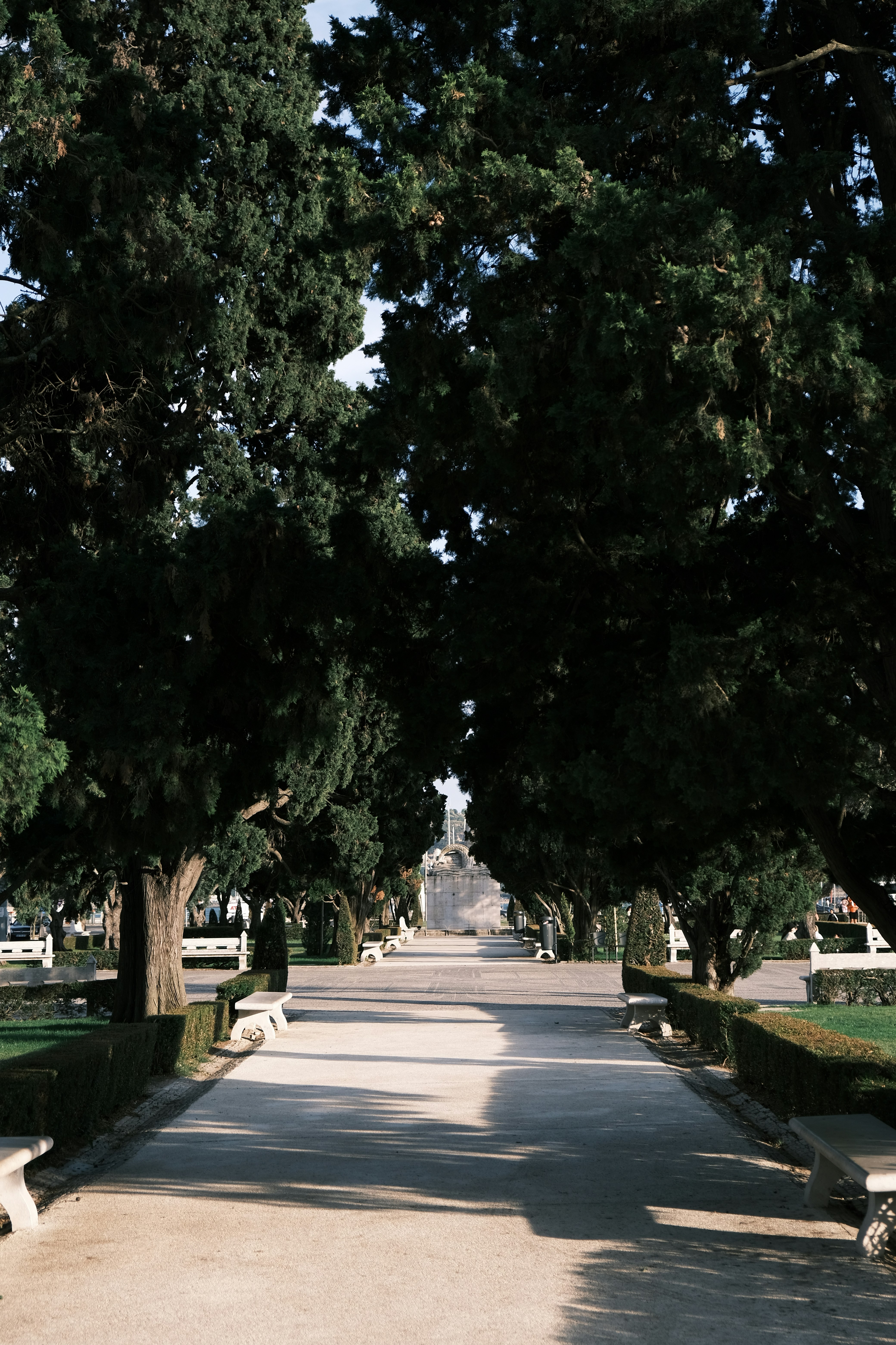 A street lined with trees and benches under a blue sky photo – Free Lisbon Image on Unsplash