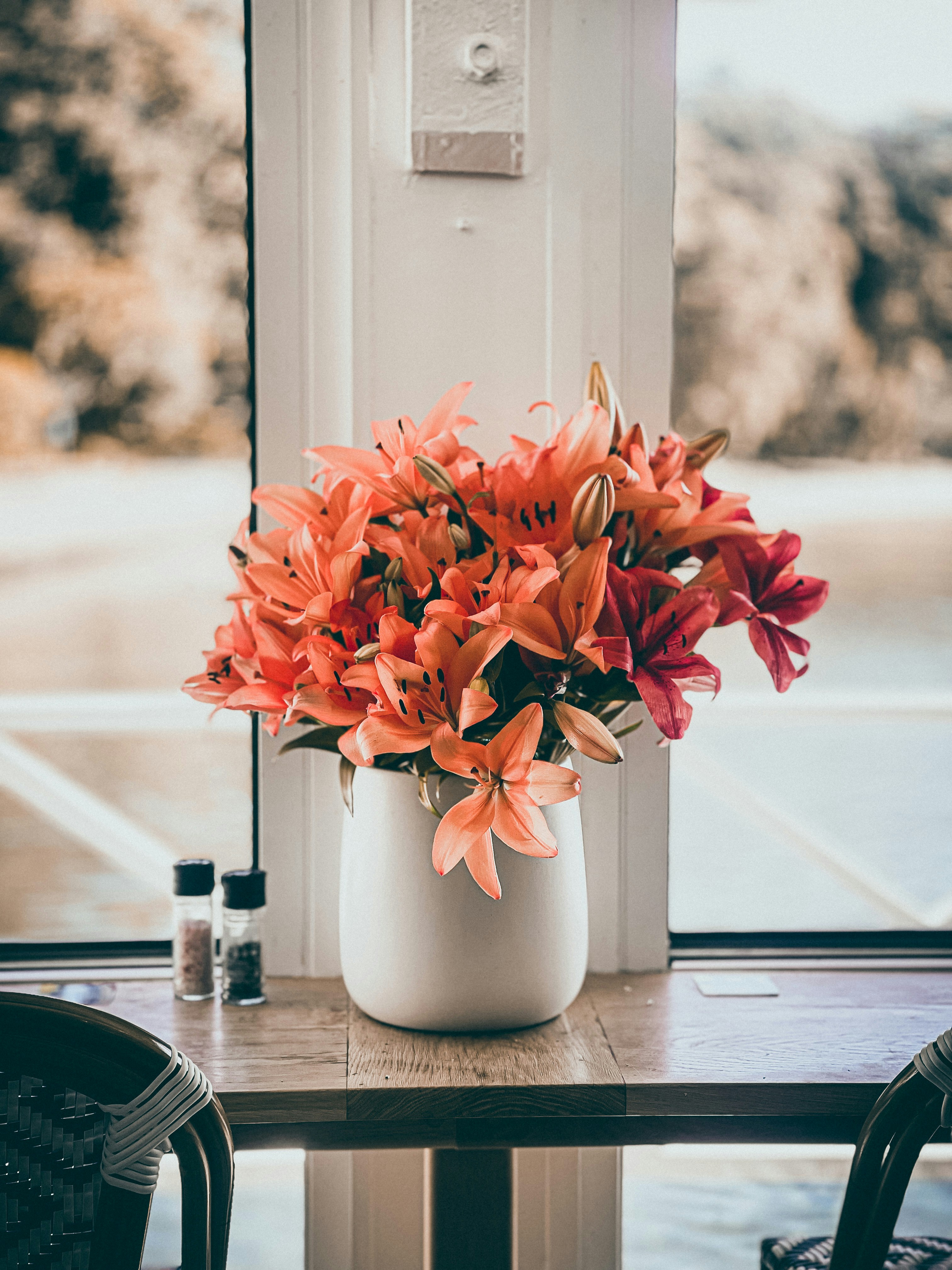 Coral Lily Bouquet Framed in Soft Window Light