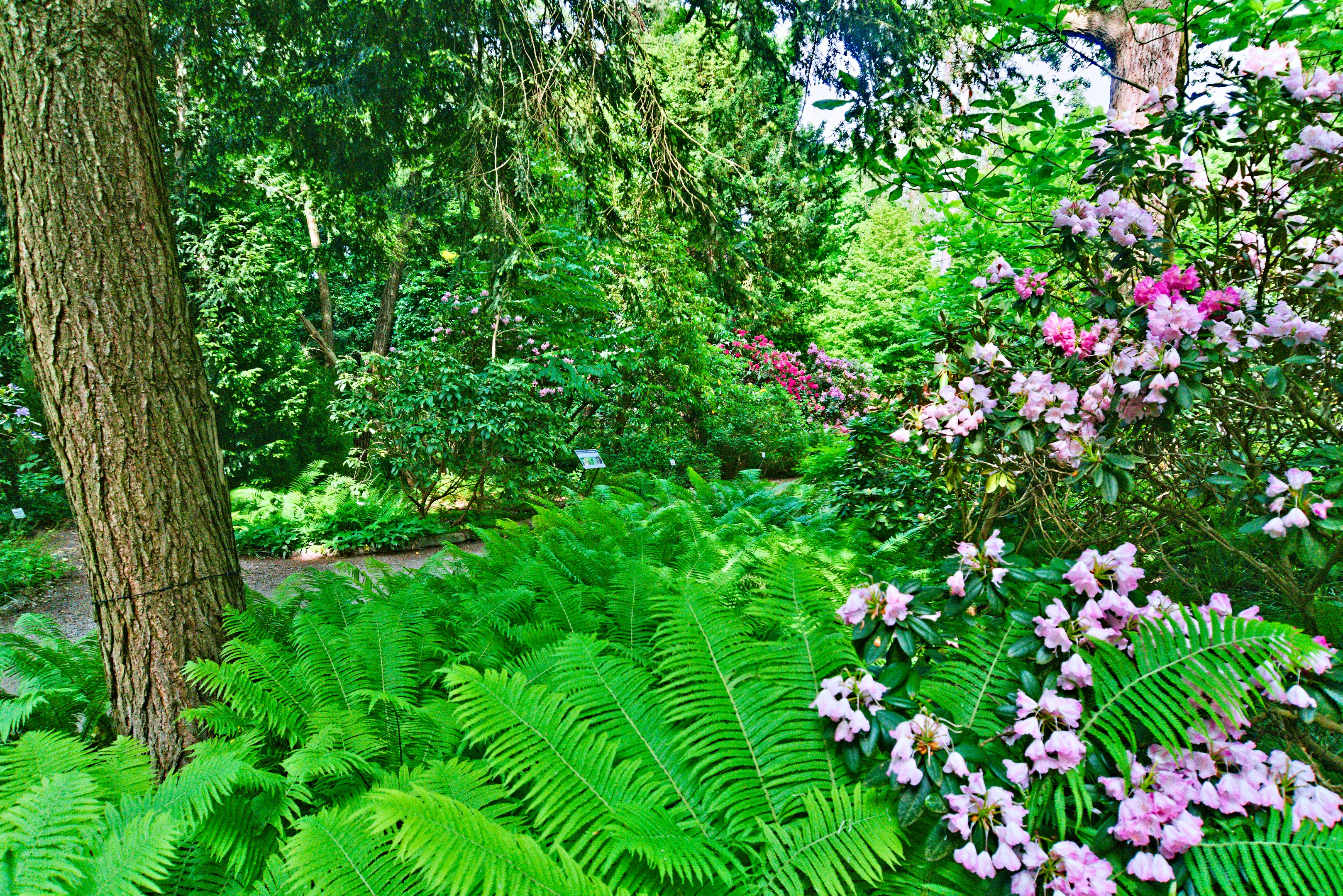 Photo by Konstantinos Papadopoulos with Sony Alpha 6300