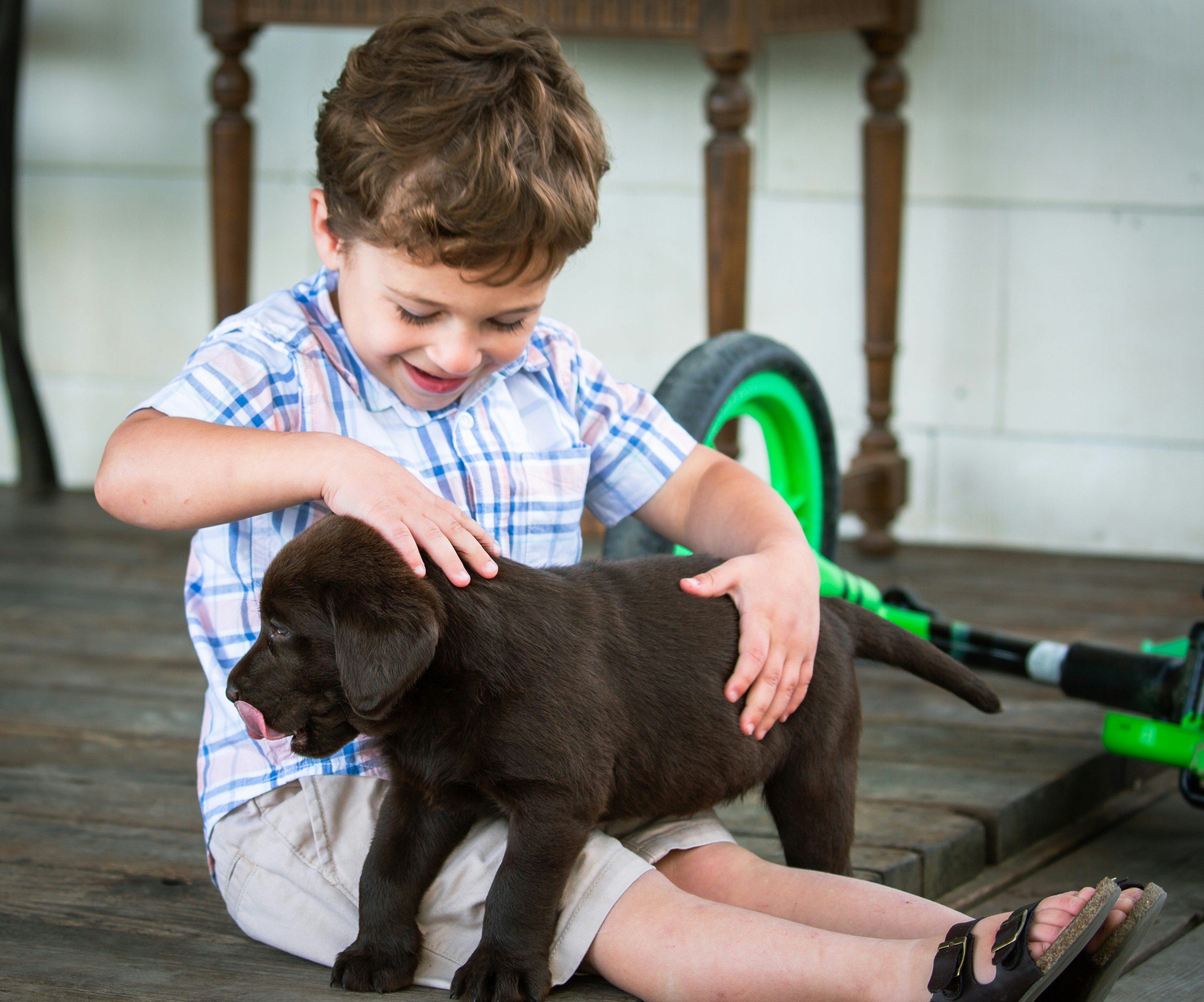 Young Boy and Chocolate Labrador Puppy on a Porch