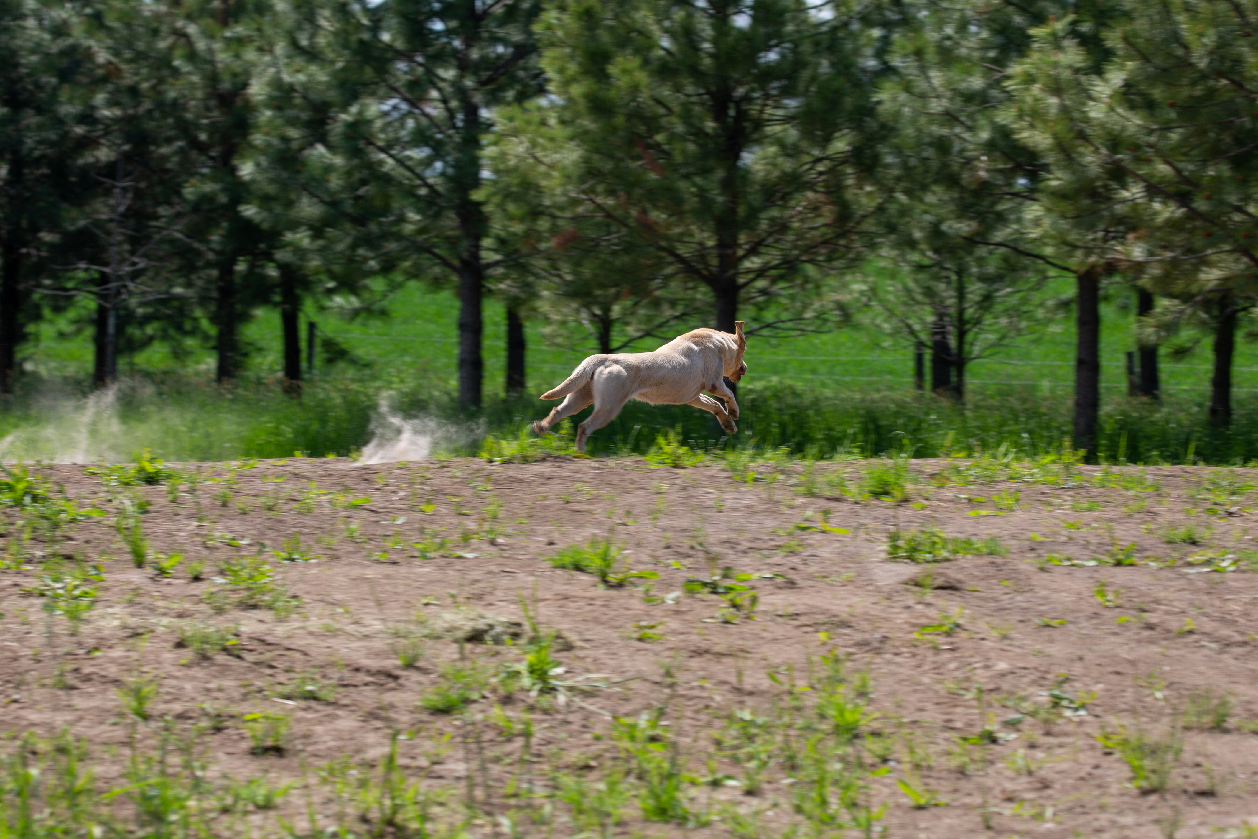 Photo by Howard R Wheeler with Canon EOS 5D Mark III