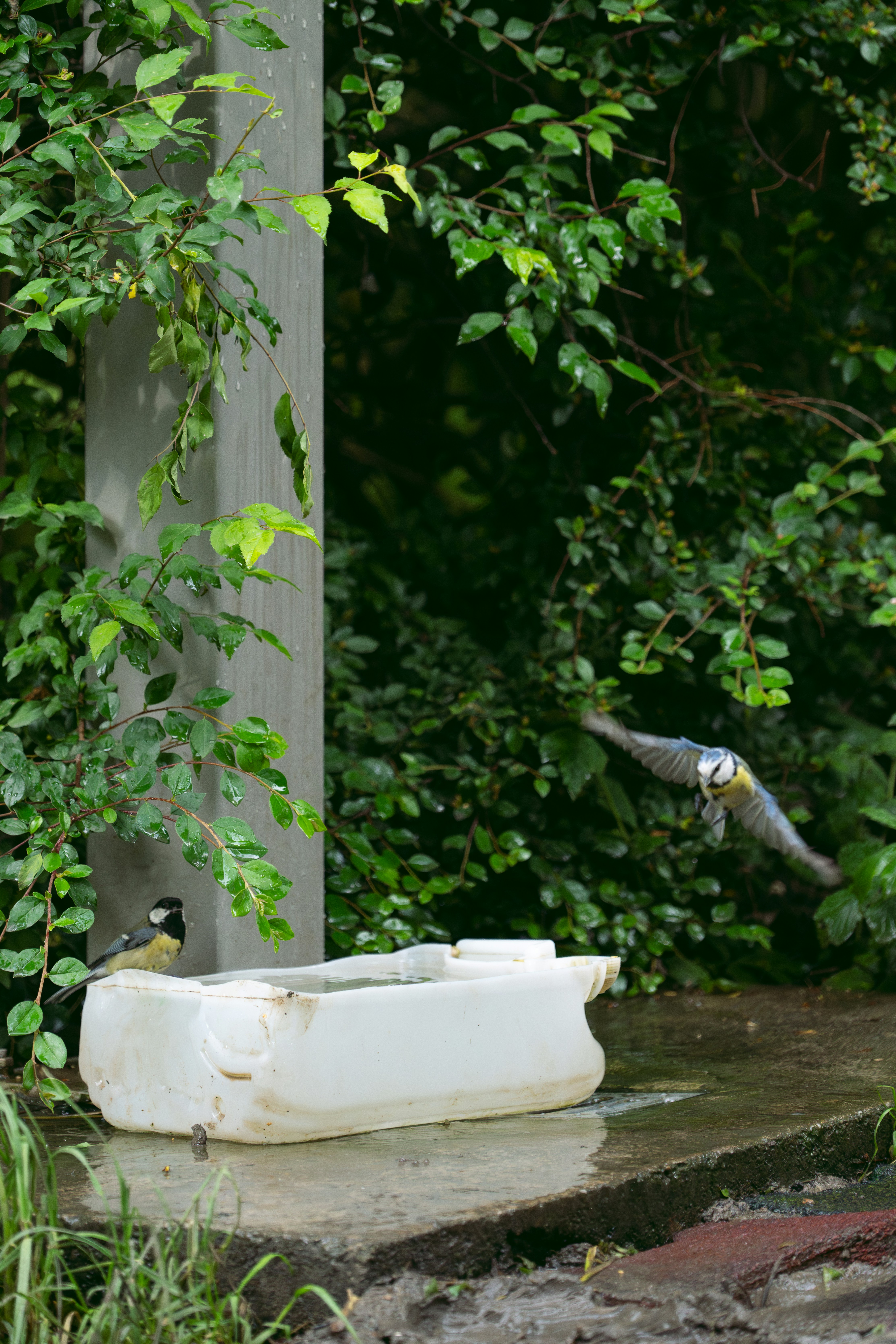 Photo by Sandra-Beatrice Molnar with Nikon Z8