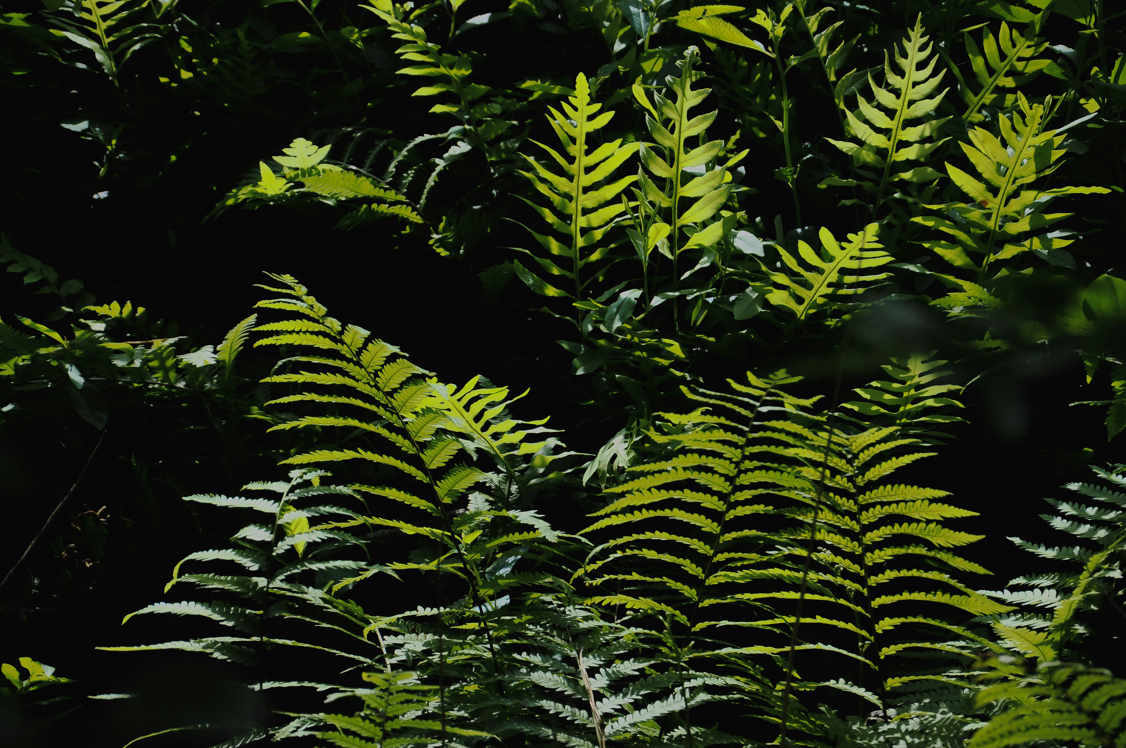 Lilly Gaddis (@lillygaddis) | Communauté photos Unsplash