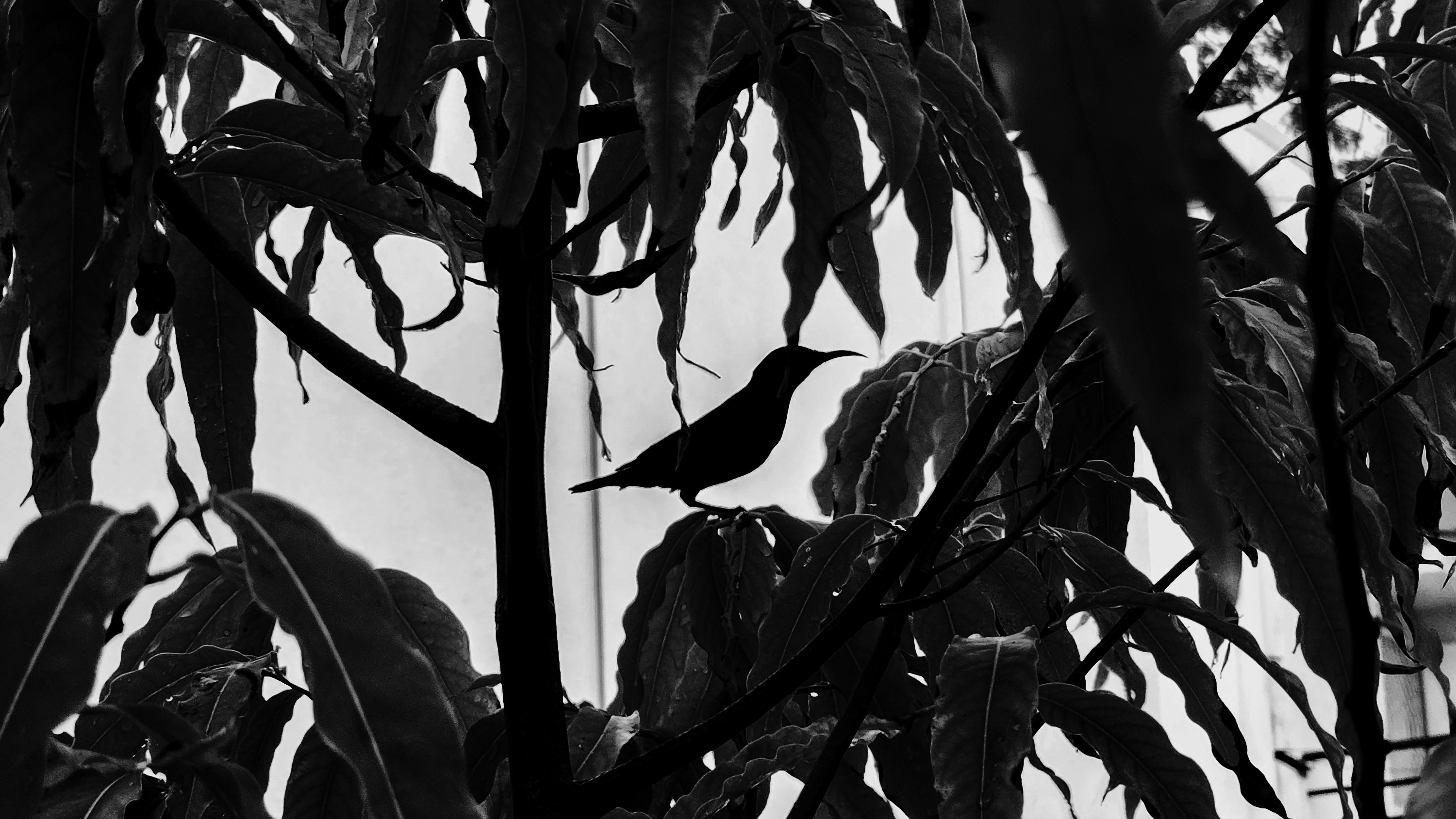 Photo by Karan Suthar with Samsung Galaxy S22 Ultra