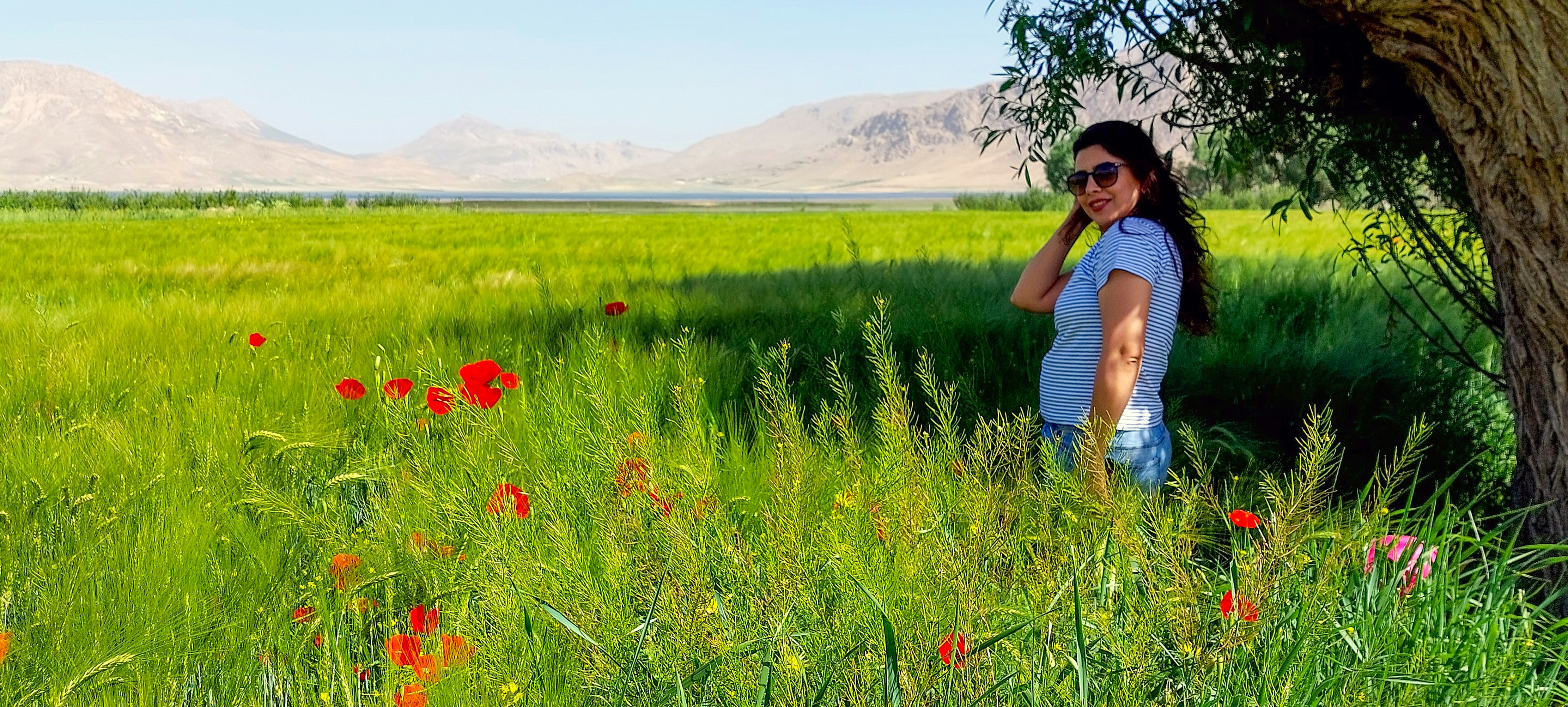 Sunlit Meadow Stroll: A Girl in the Fields by the Olive Tree
