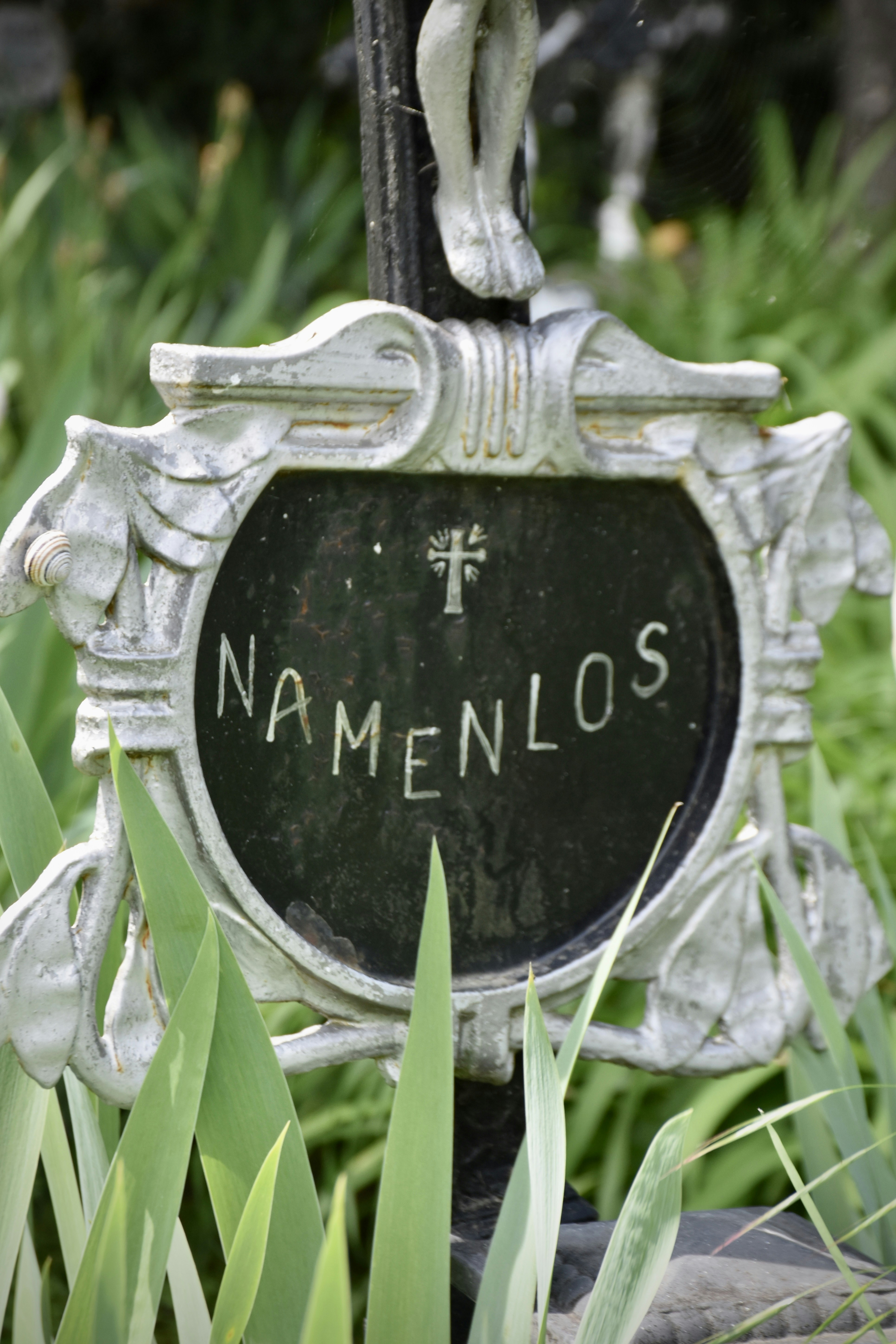 Name on the Mirror: An Ornate Cemetery Marker Surrounded by Tall Grass