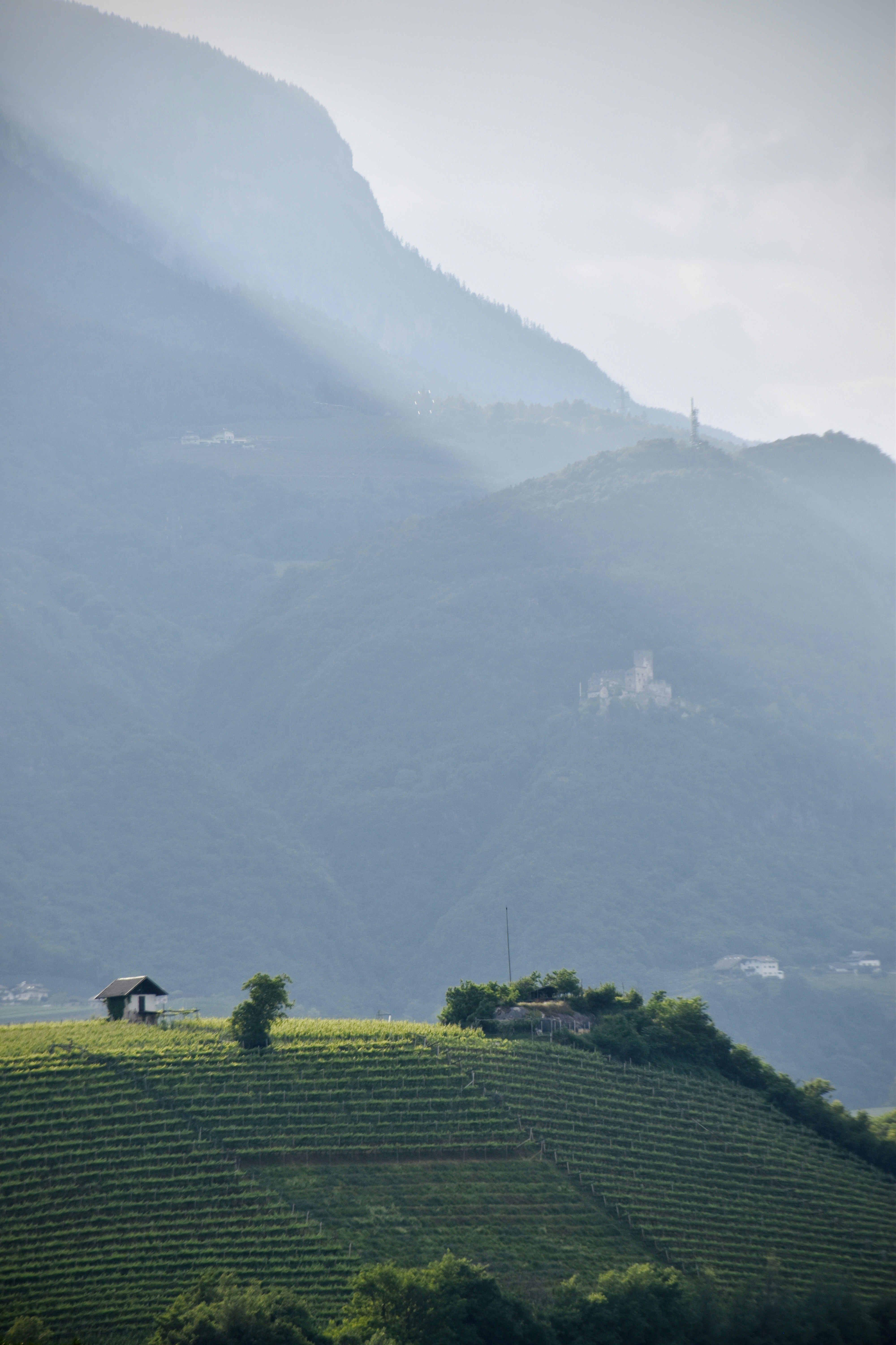 Wine hills close to Bozen, Südtirol, the Mendel mountains in the background with Hocheppan Castle visible. What you may detect in the center right of the image is in fact a derelict bunker, built as part of a whole „alpine defense line“ (vallo alpino) in the 1920/1930s by the Italians (under Mussolini) against - surprise, surprise - not the Bolsheviks, but the allied German co-nazifascists. It is a fun fact and the truth - as well as a blessing - that nationalists of different nations will never be real friends, due to the very nature of their questionable ideology.