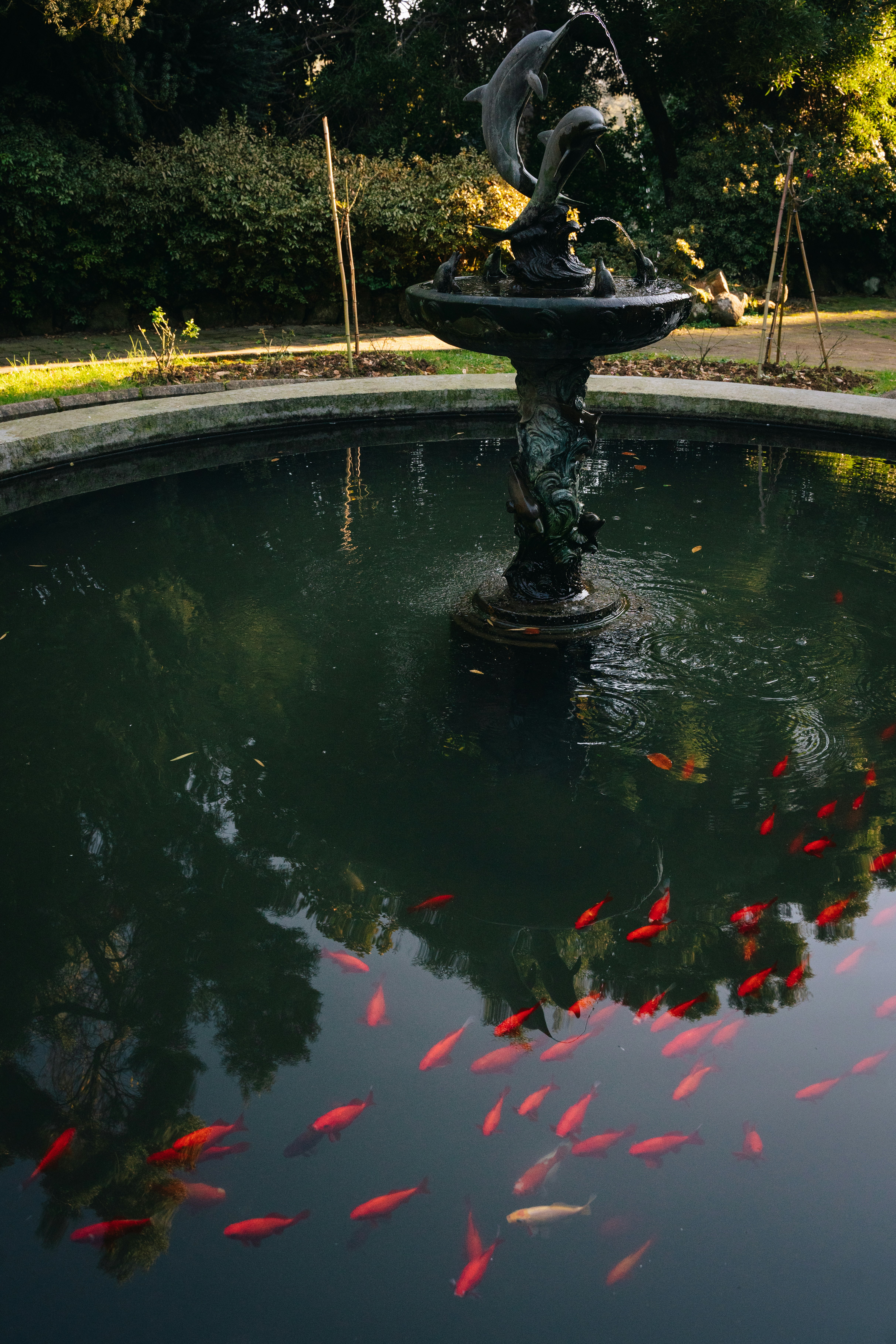 Bronze Reverie: Koi Dance Around a Park Fountain