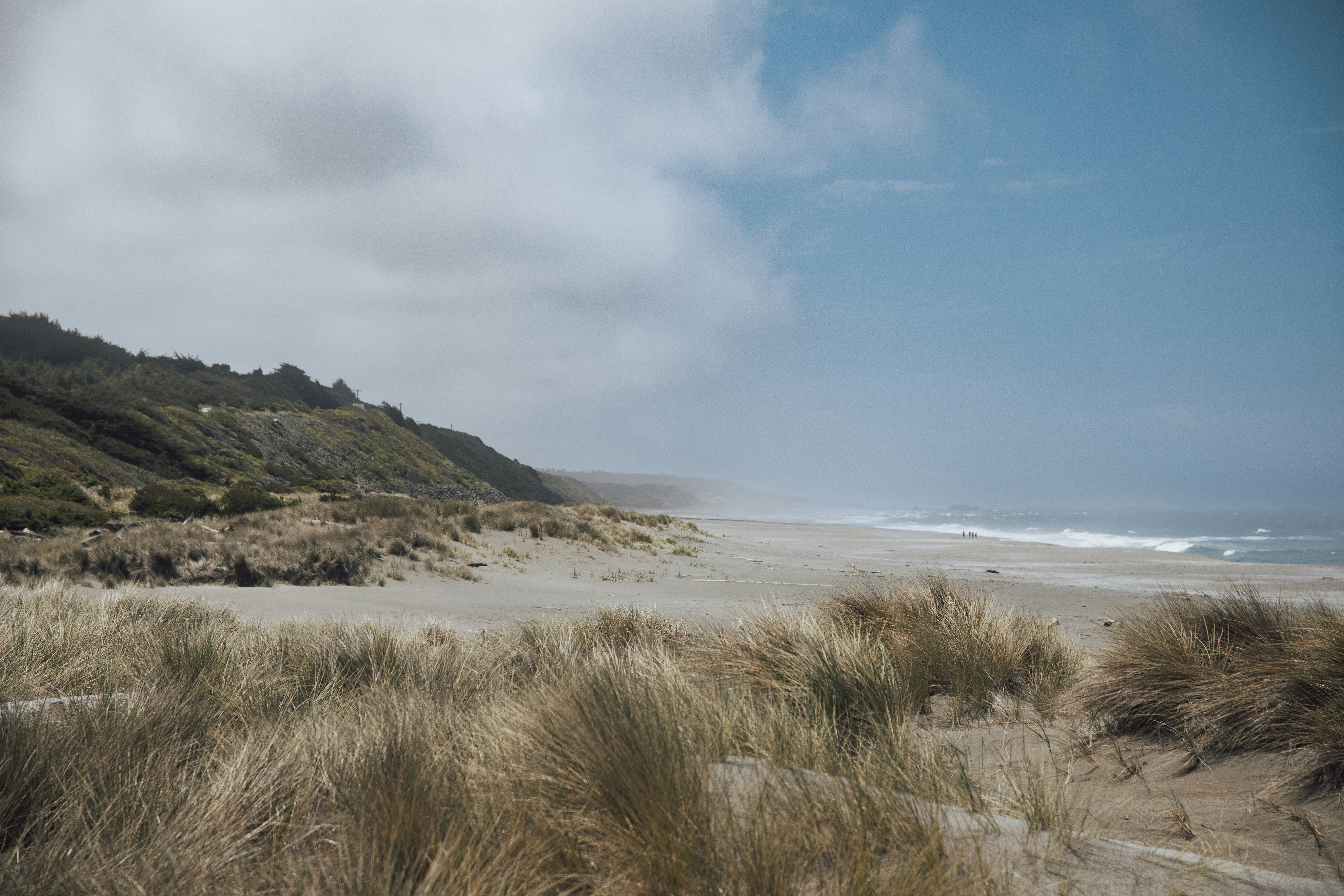 Photo by Lisha Riabinina with Canon EOS 5D Mark IV