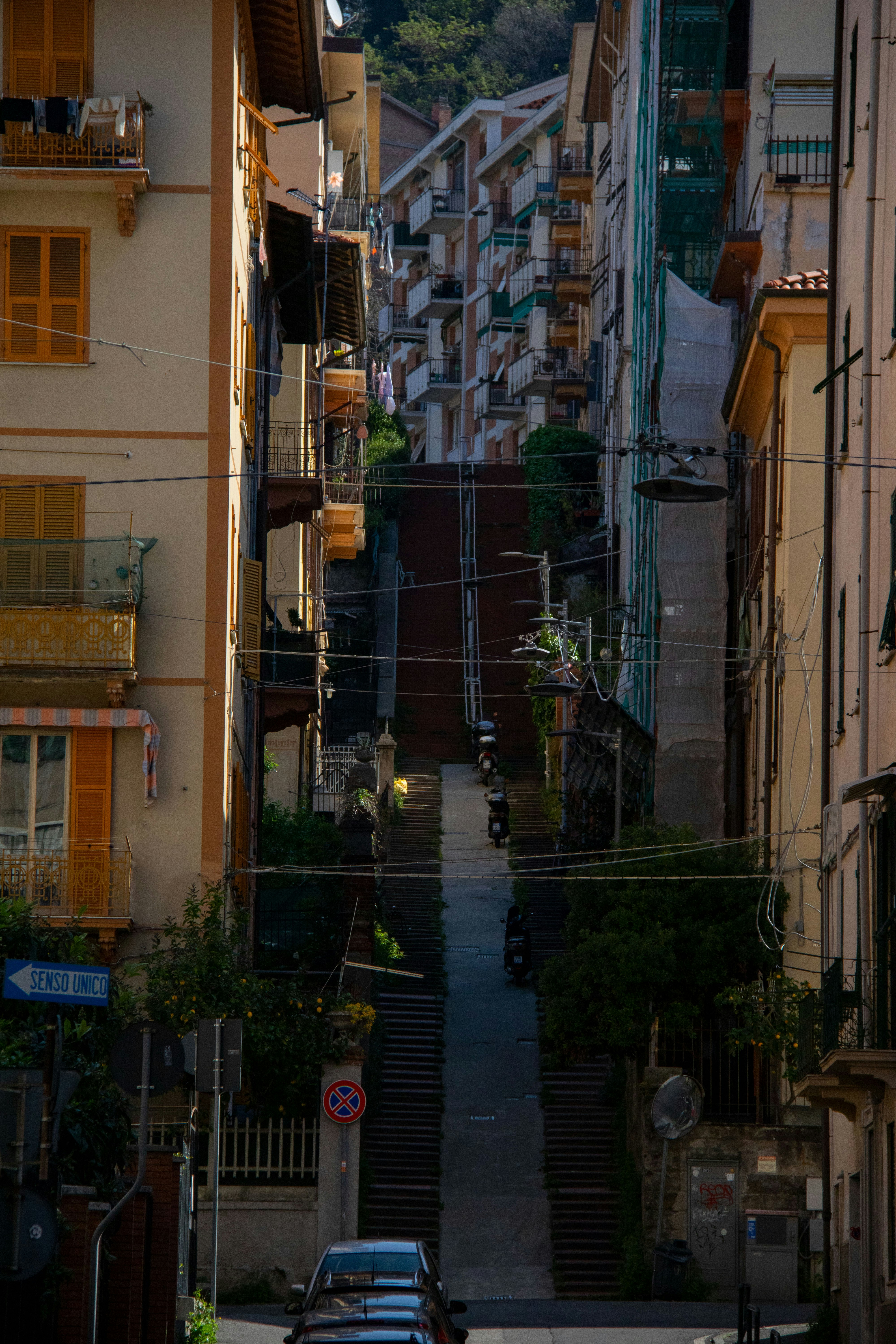 Urban Ascent: A Journey Through Steps